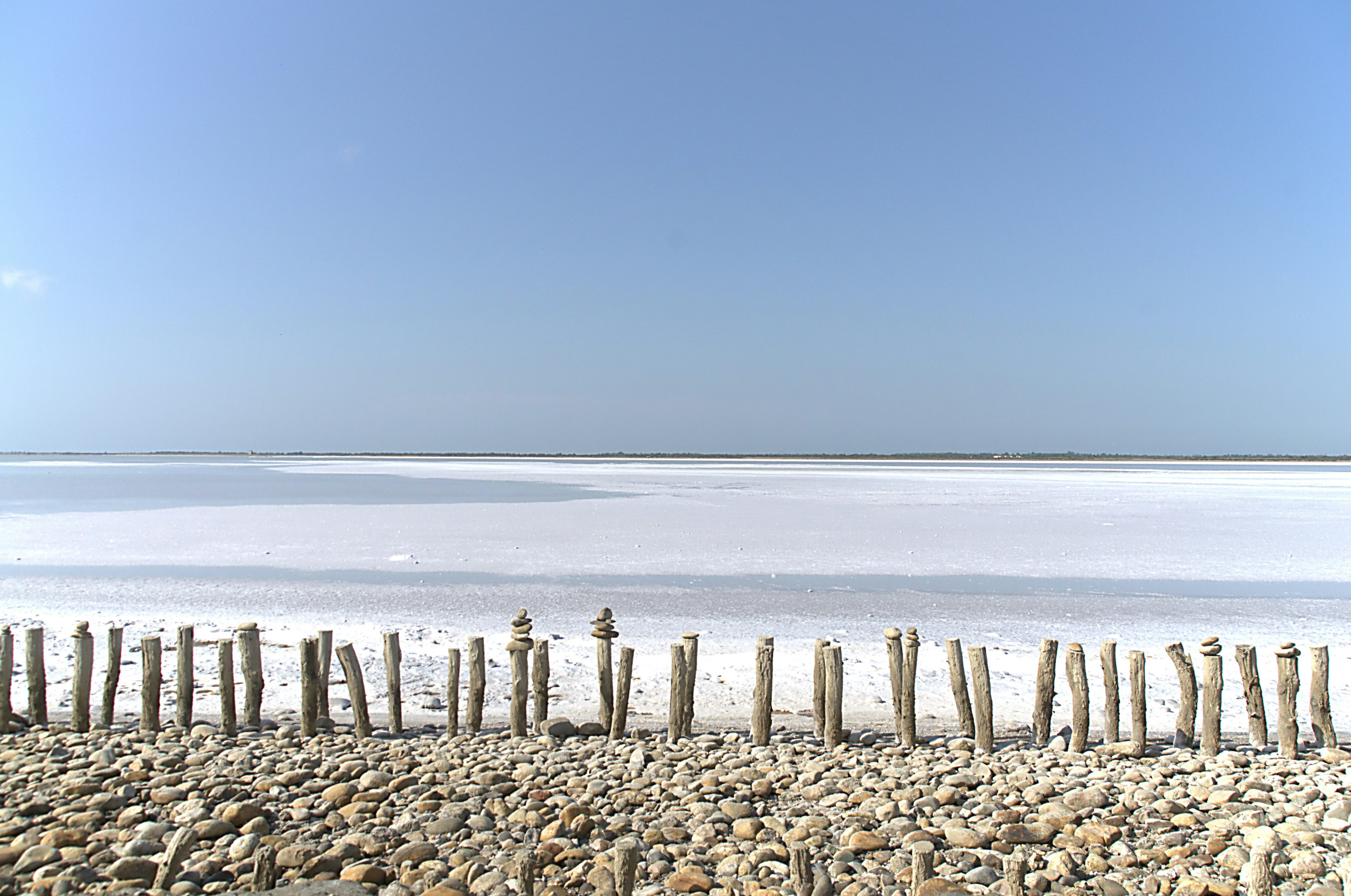Driftwood Pikes on a Pebble Coast Under a Calm Azure Horizon