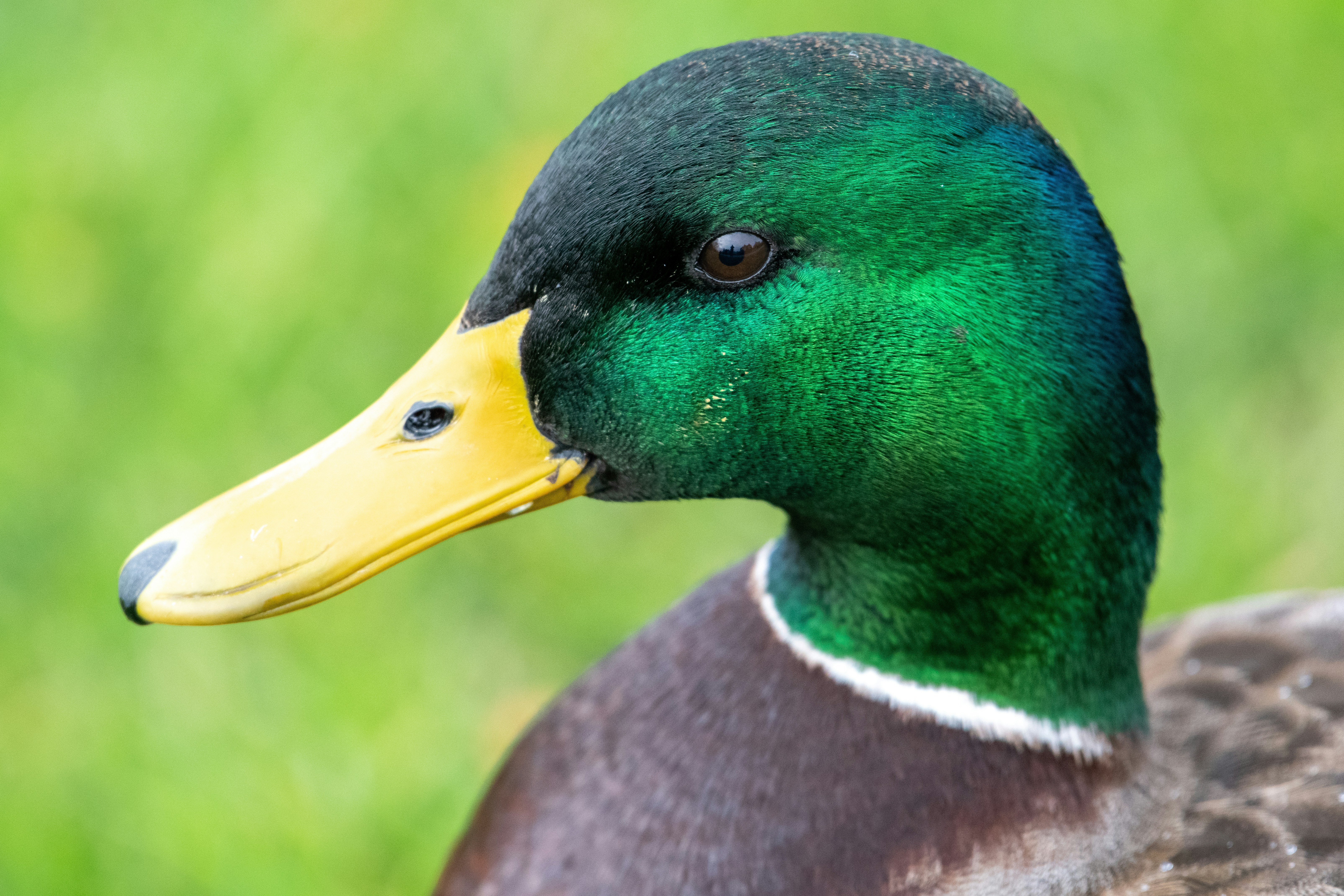 Steve Smith (@varrak) | Unsplash Photo Community