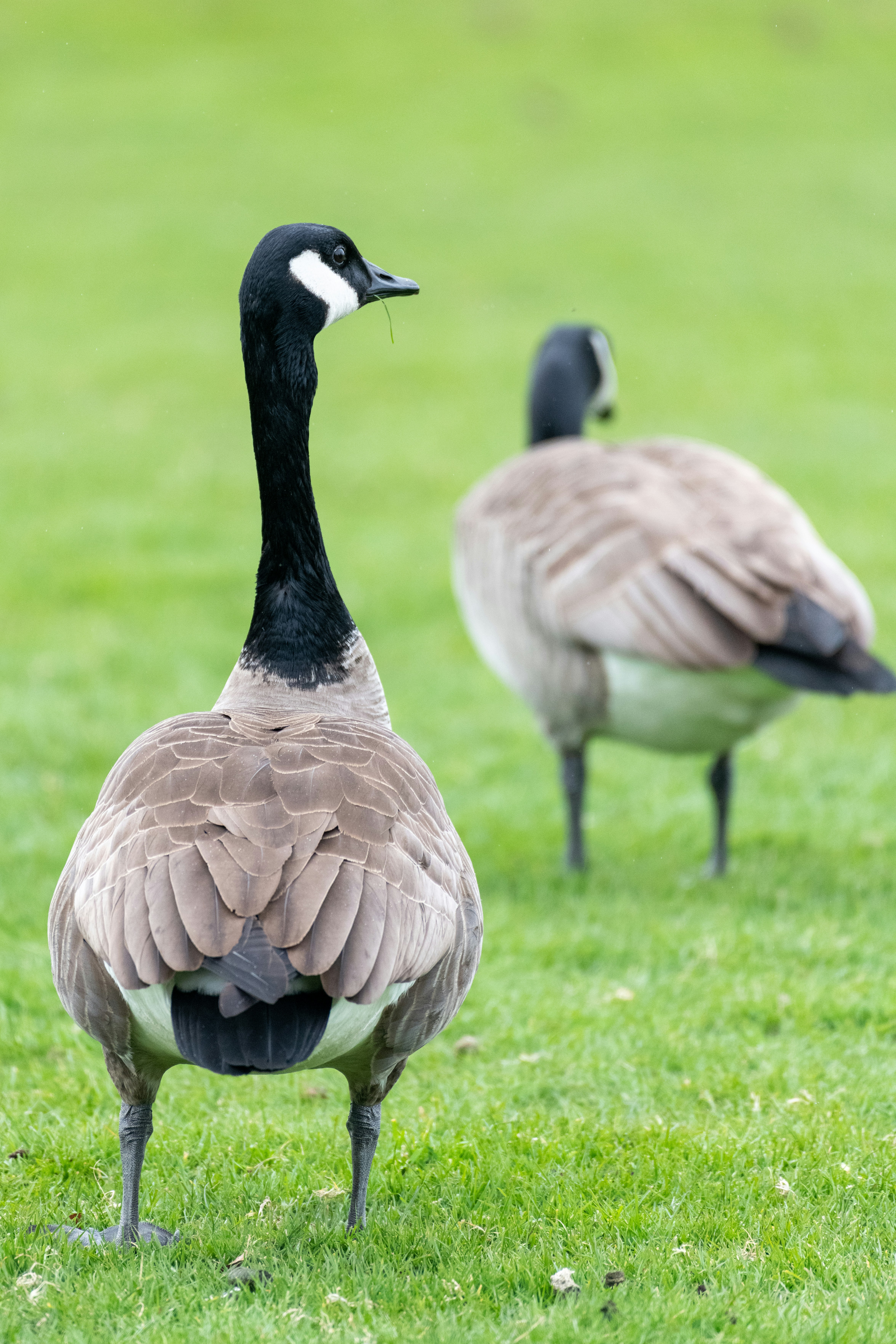 Steve Smith (@varrak) | Unsplash Photo Community