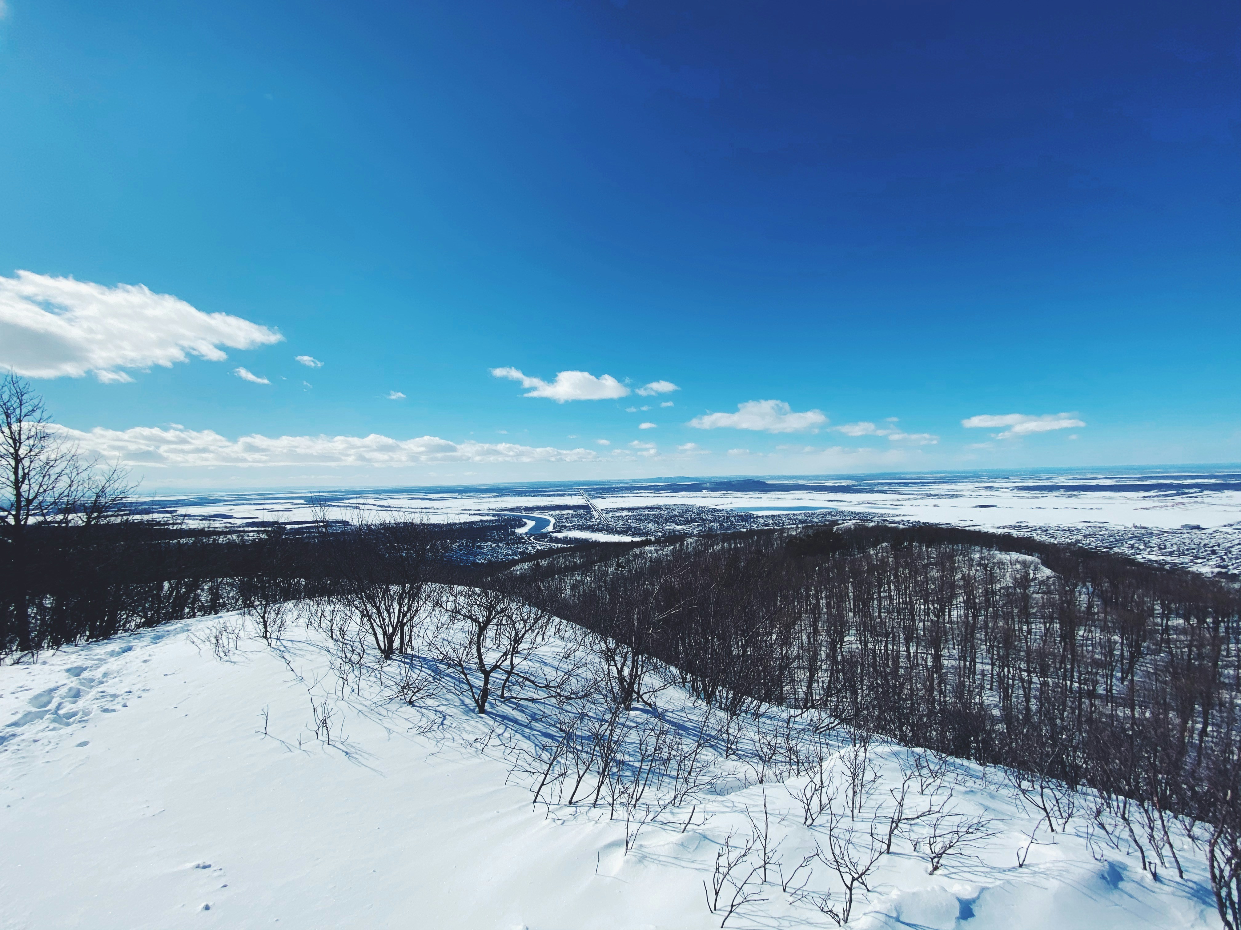 Expansive snowy landscape under a vibrant blue sky, showcasing distant hills and a winding river. Sparse trees frame the foreground.