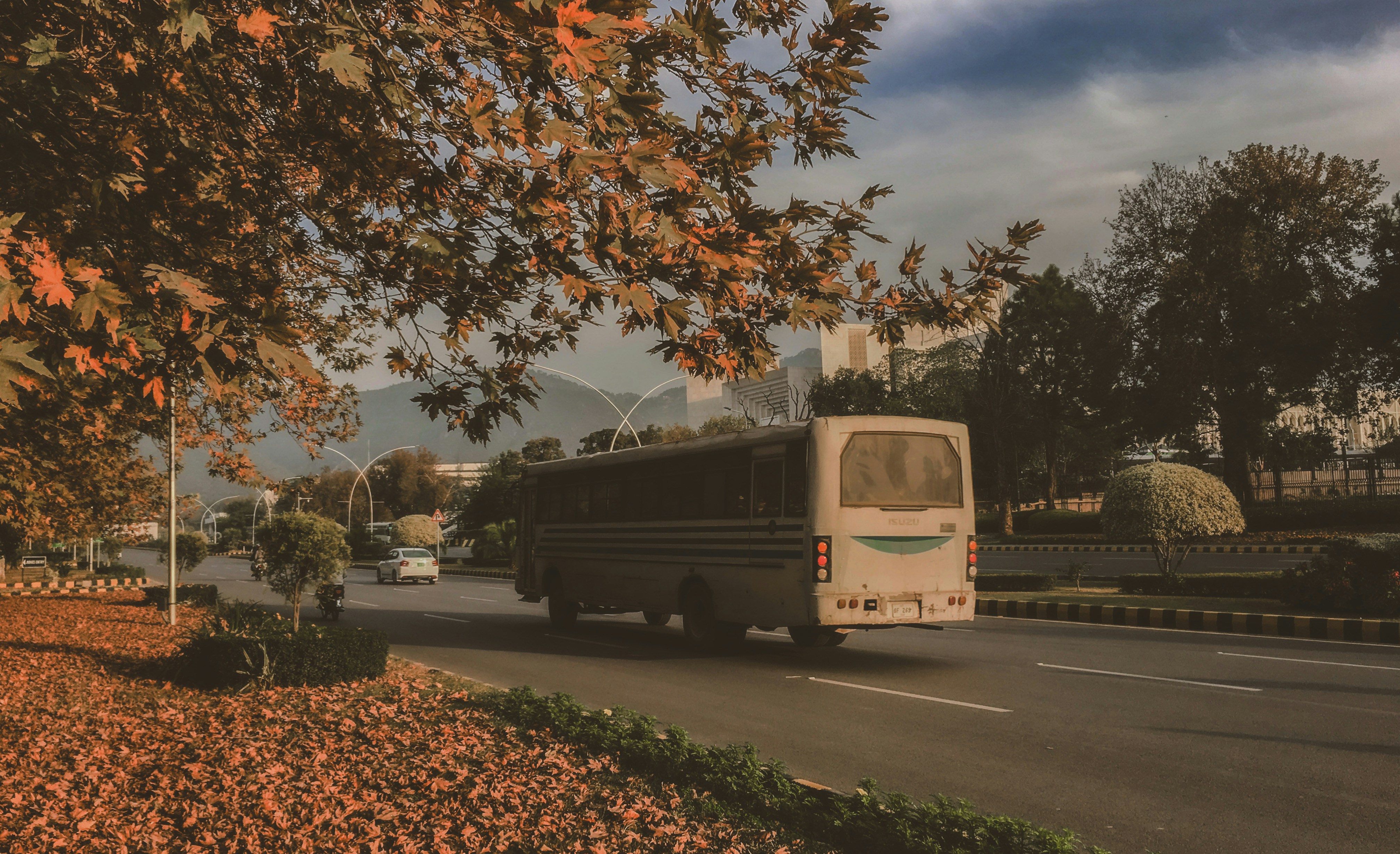 White and yellow bus traveling on a tree-lined road under a cloudy sky.