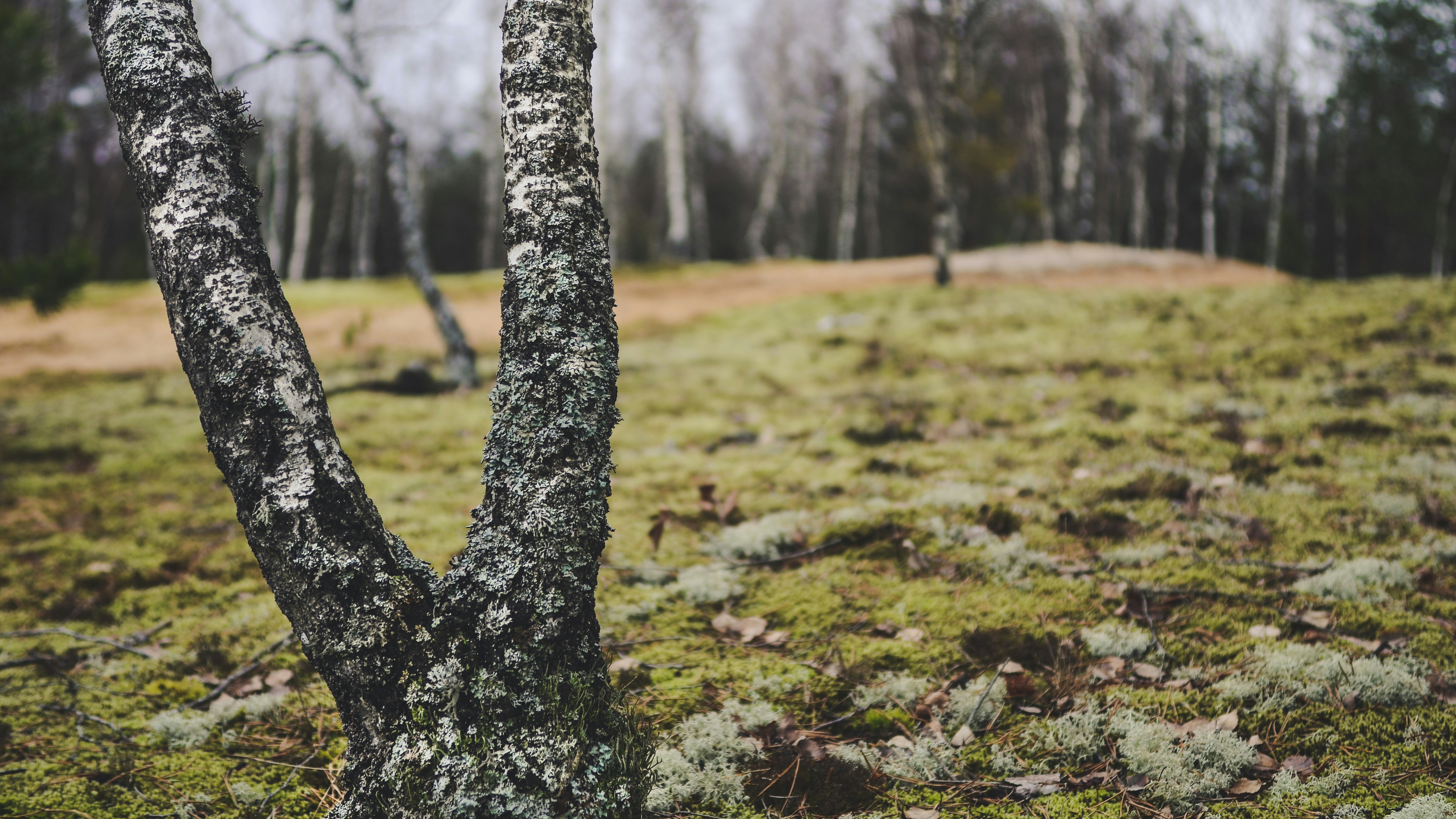 Sarune Sedereviciute (@sarunesed) | Unsplash Photo Community