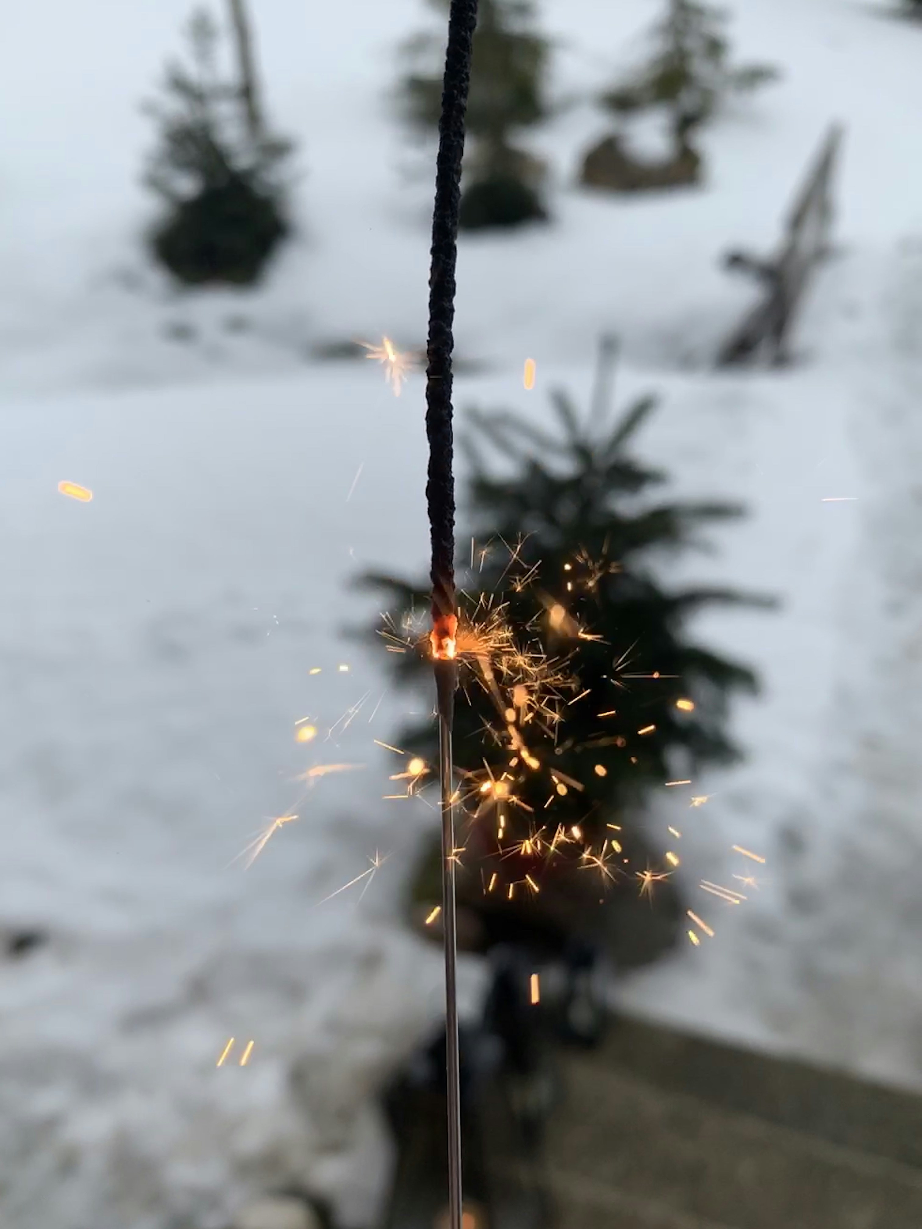Sparks in the Snow: A Flicker of Firelight Against Winter Stillness