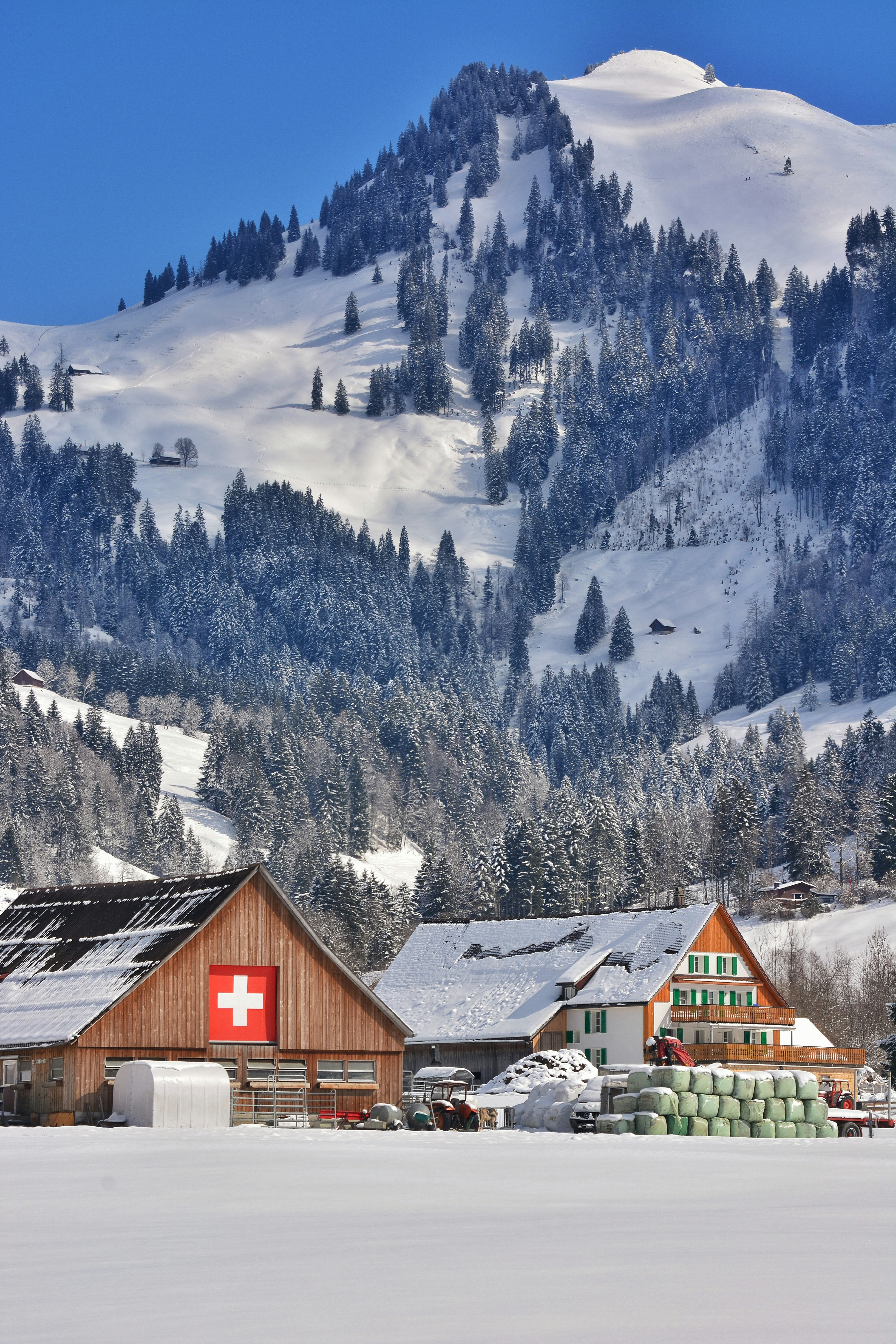 red and brown wooden houses near snow covered mountain during daytime