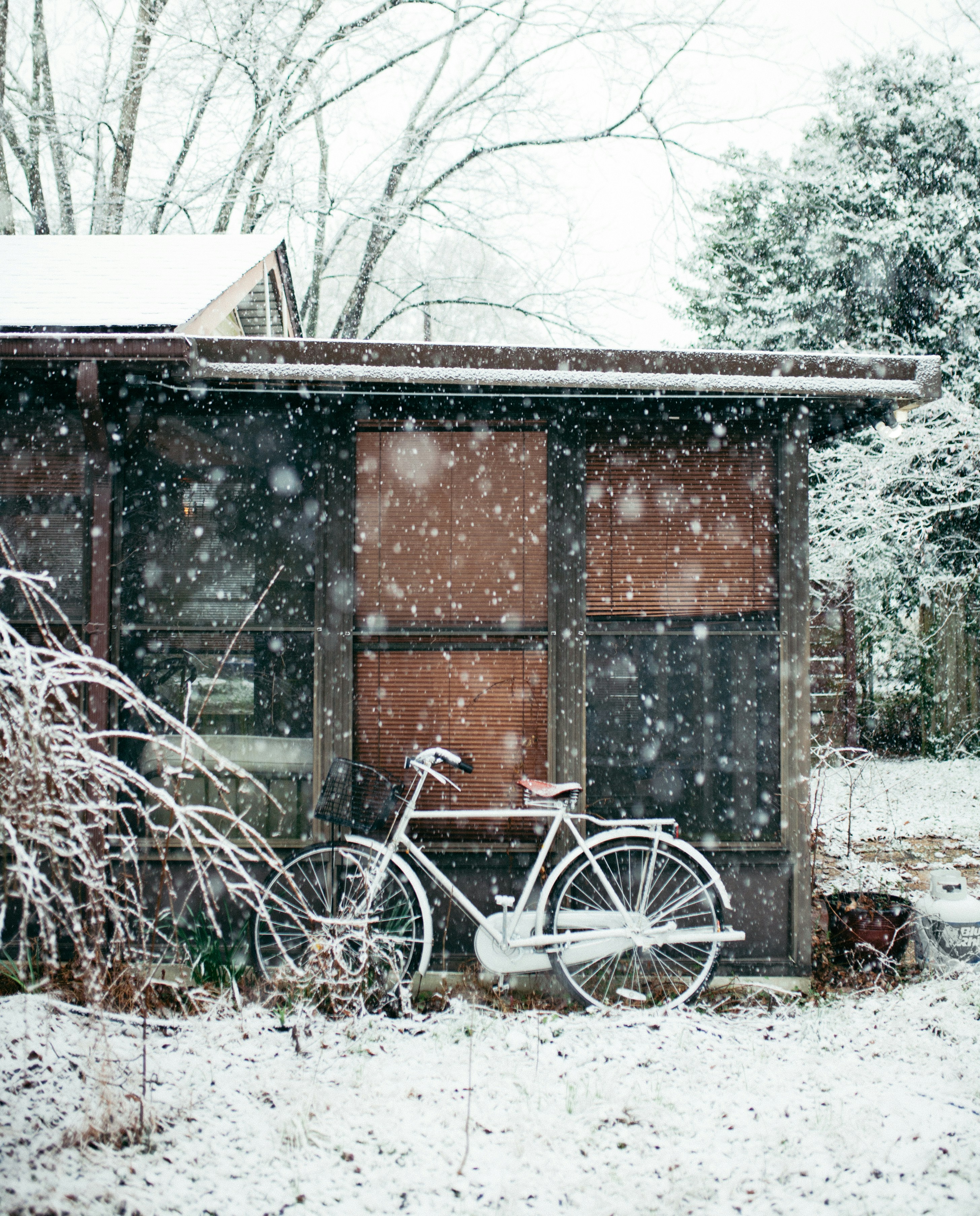 Winter Quiet: White Bicycle by a Shuttered Cabin