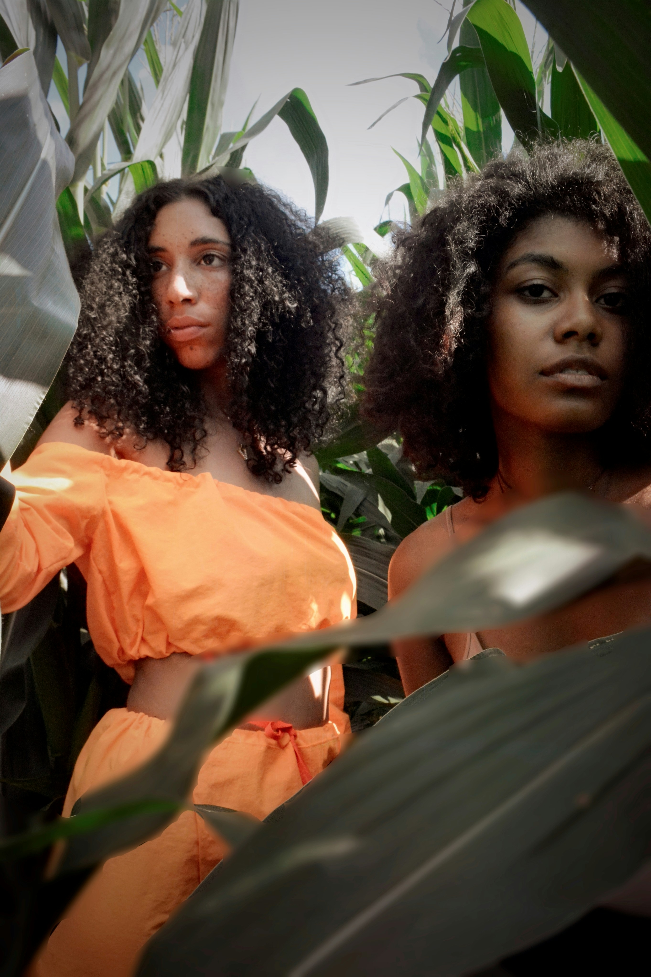 Foto Mujer con camisa abotonada naranja – Imagen Pelo gratis en Unsplash