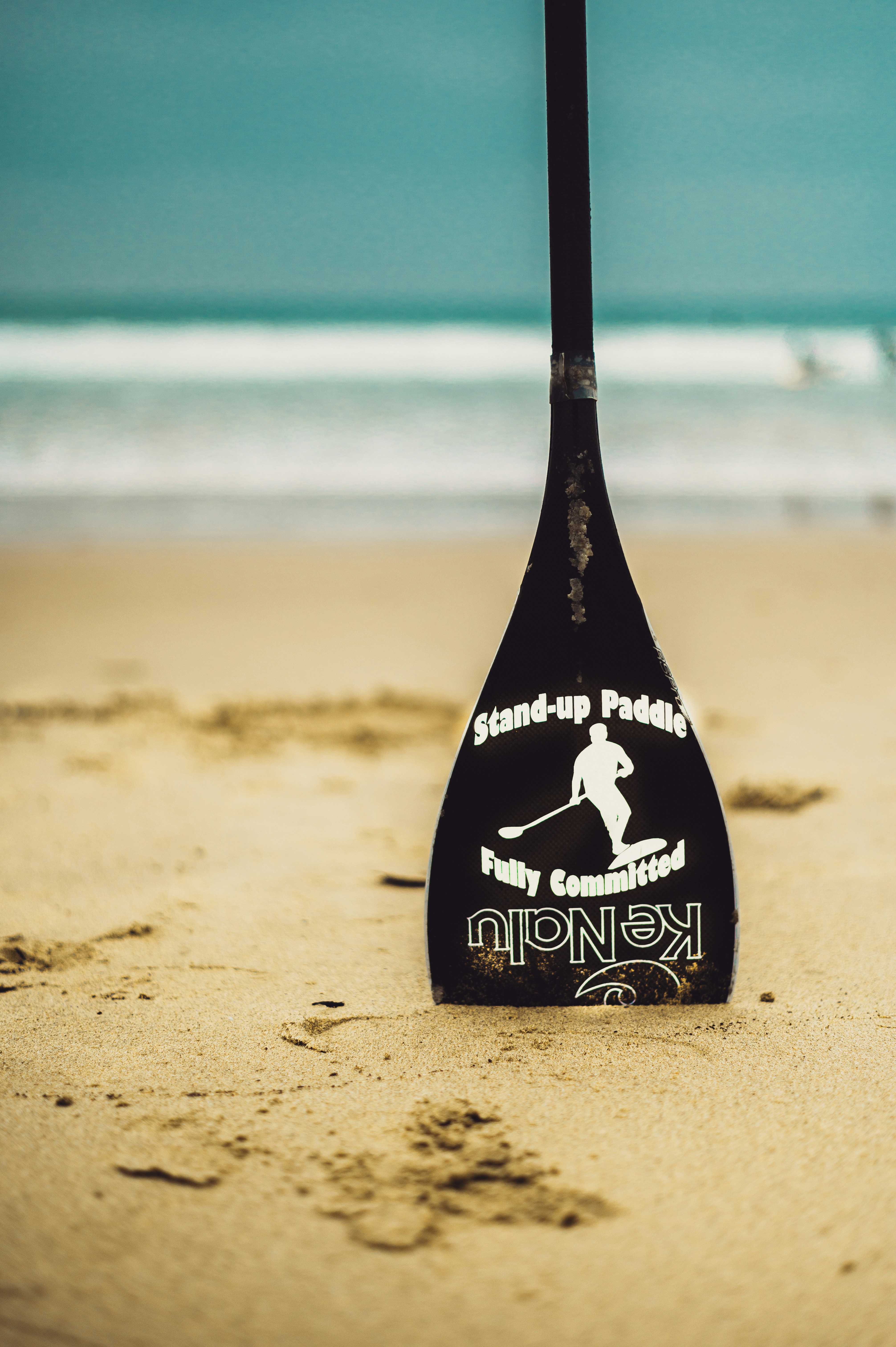Stand-Up Paddle Ready: Paddle Rest on Sunlit Beach