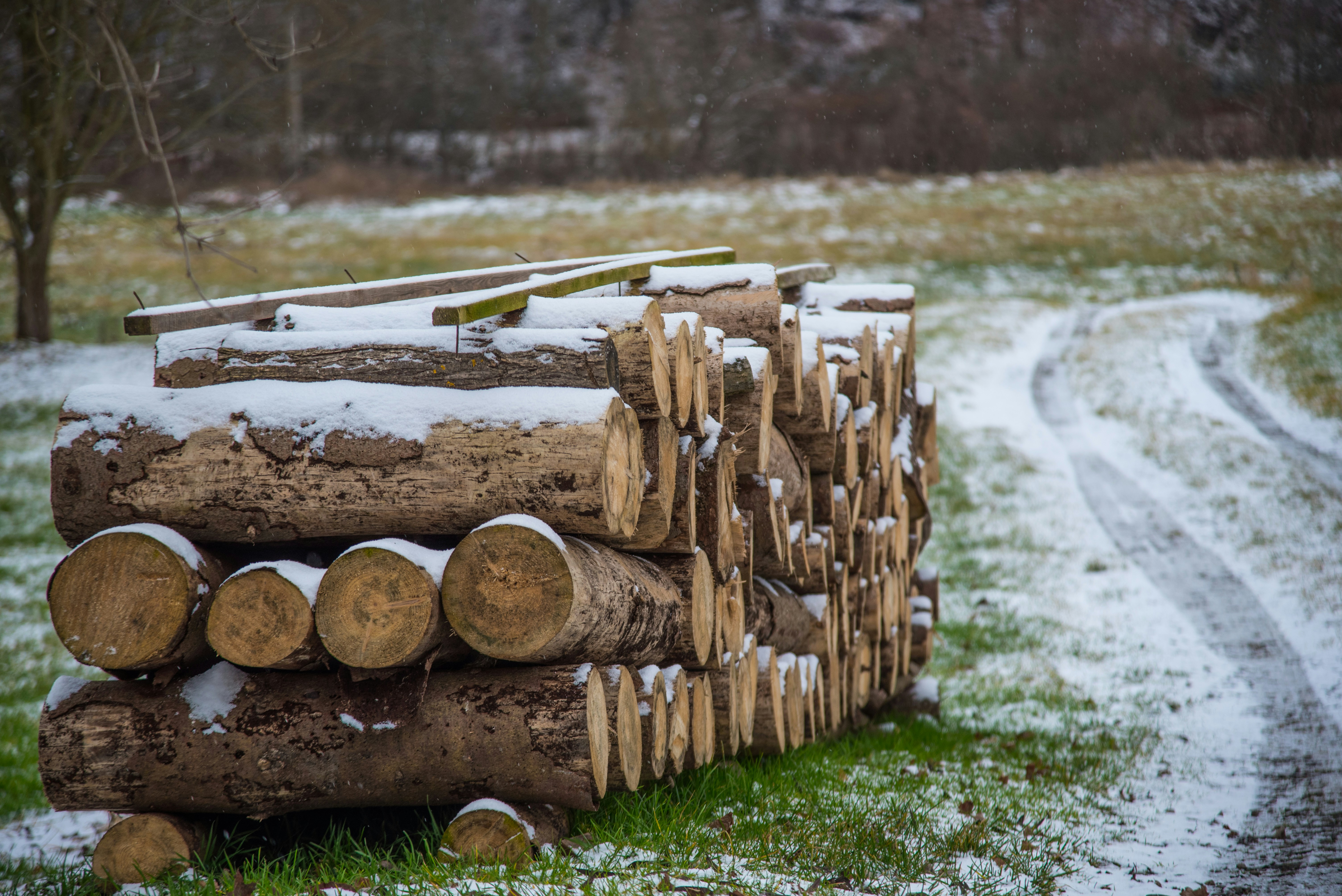 Winter Timber: A Snow-Kissed Stack Rests by a Winding Path