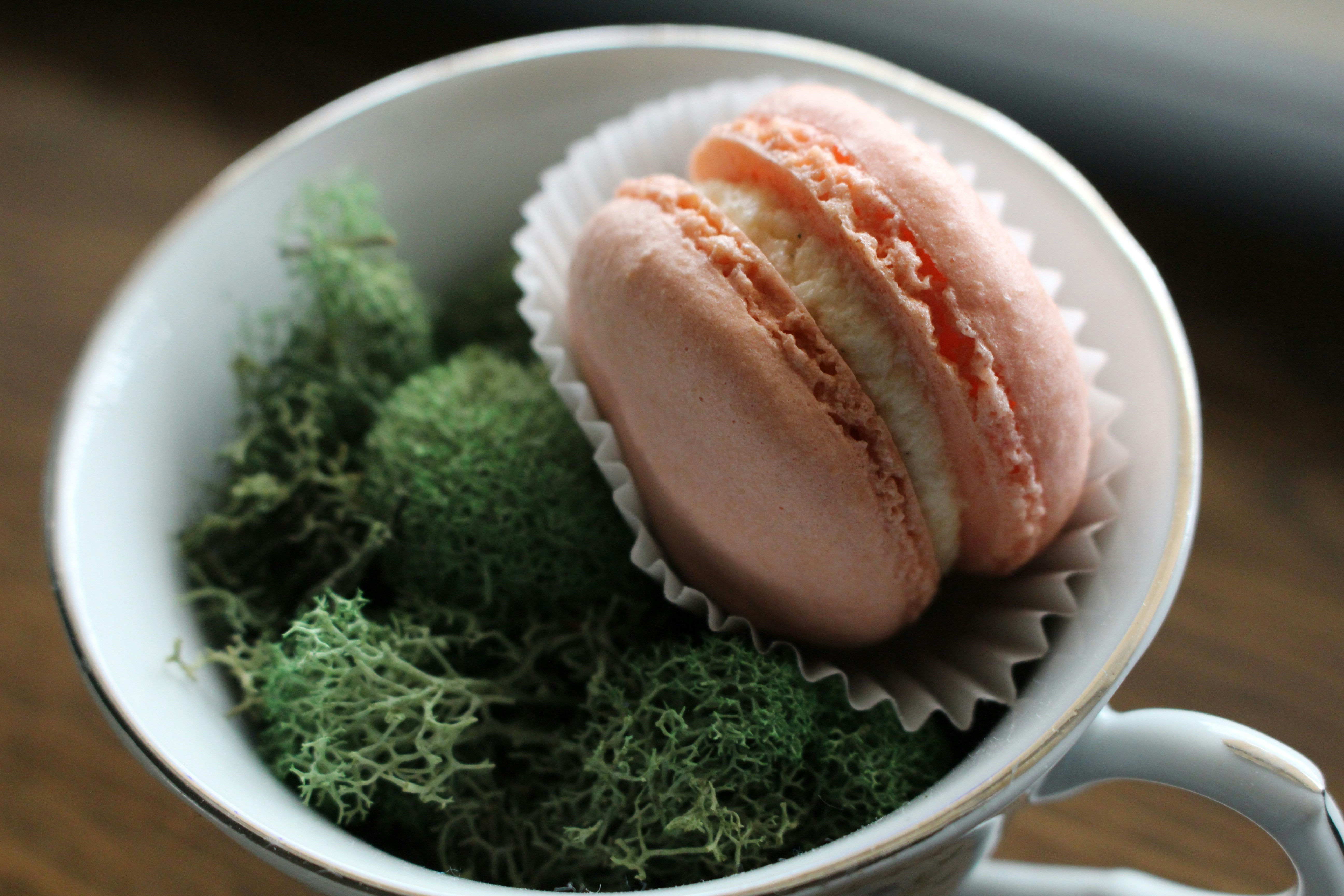 Pink macaron Nestled in a Mug of Green Moss