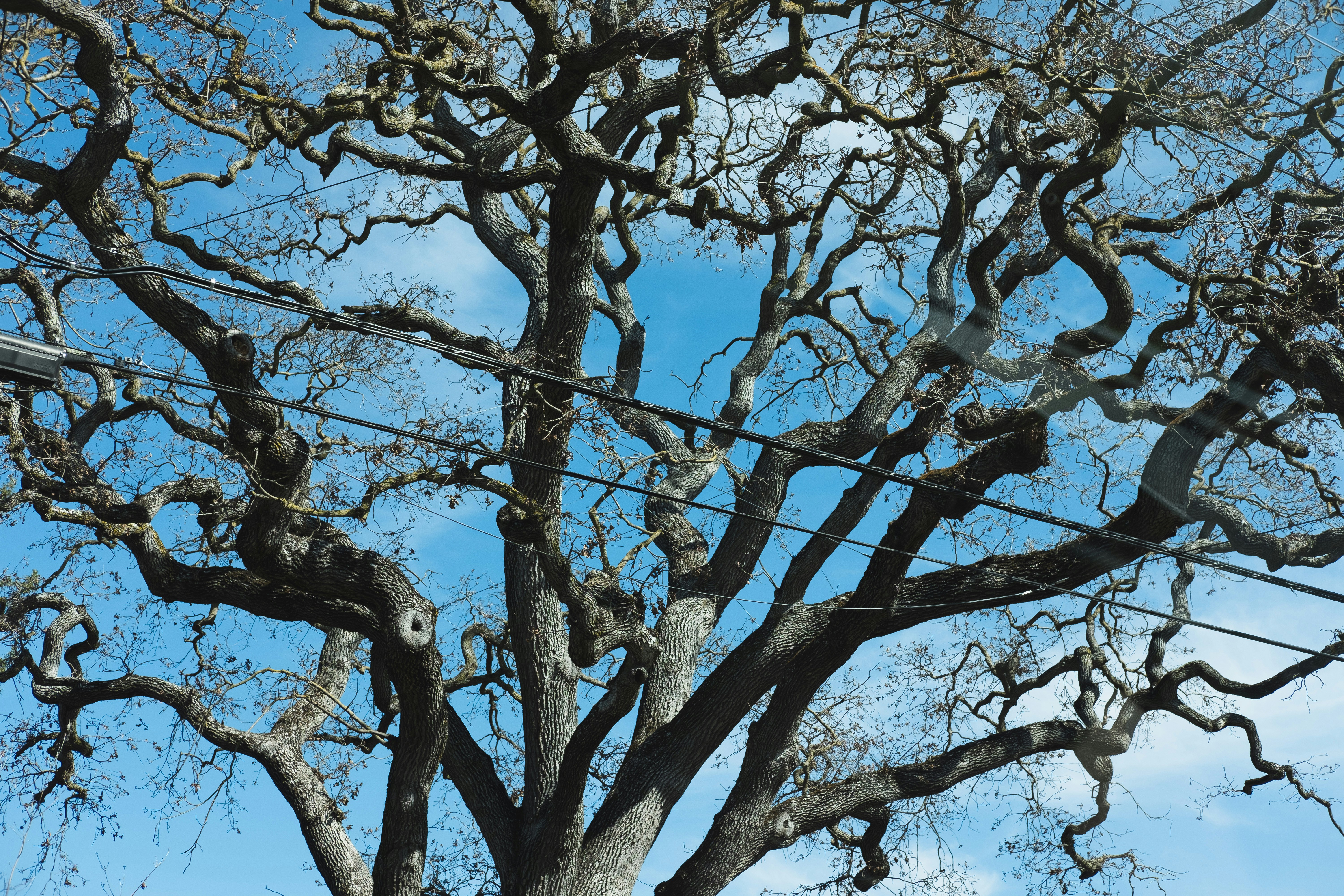 Charlie Deets (@charliedeets) | Unsplash Photo Community