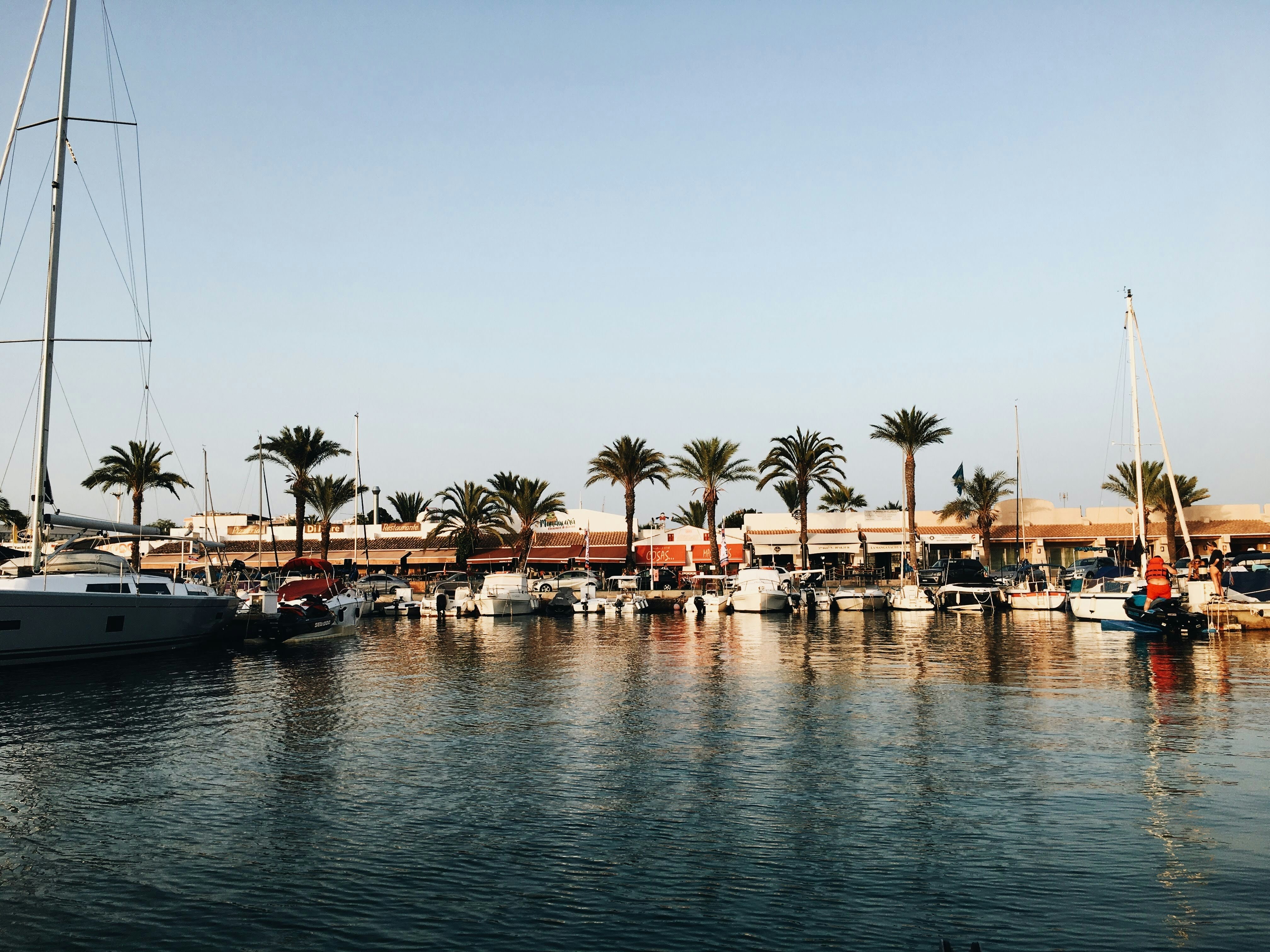 A tranquil marina scene featuring various boats anchored amidst palm trees and soft reflections on the water's surface.