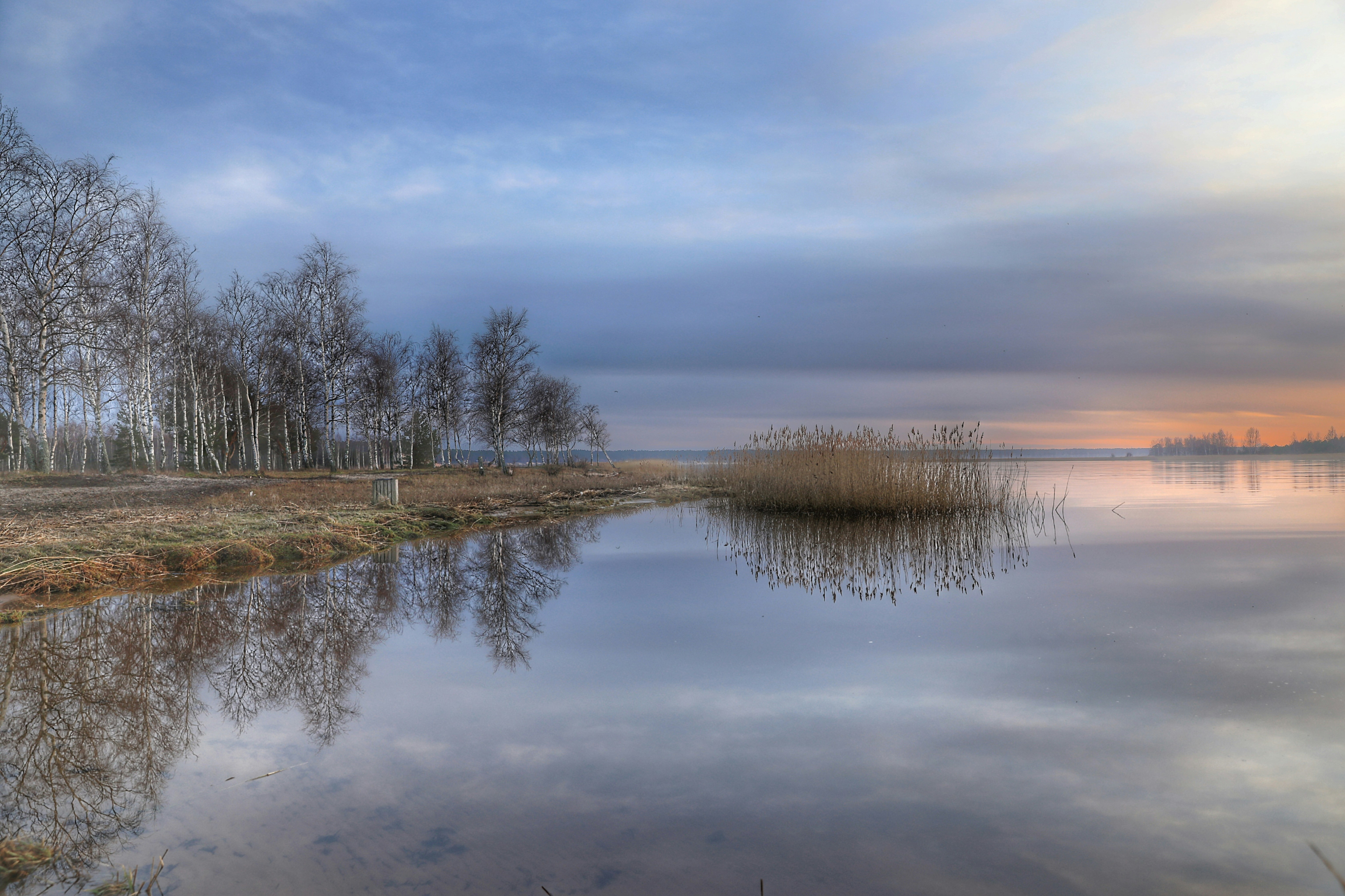 Bare trees line a serene lakeshore, their reflections mirrored in the calm water, under a pastel sky at sunset.
