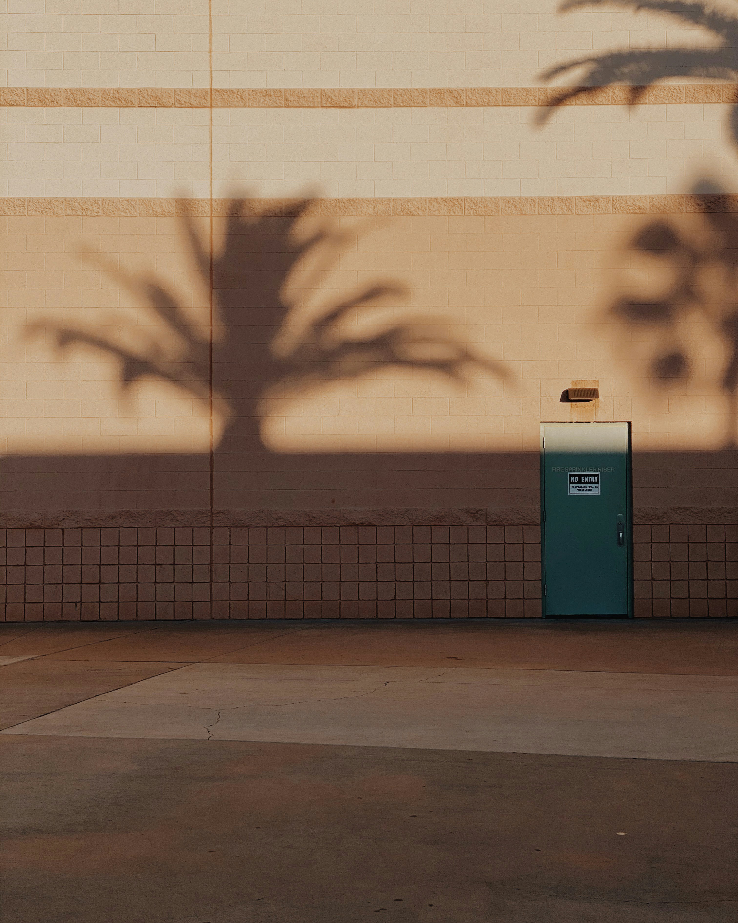 Turquoise Door under Palm-Shadowed Wall at Golden Hour