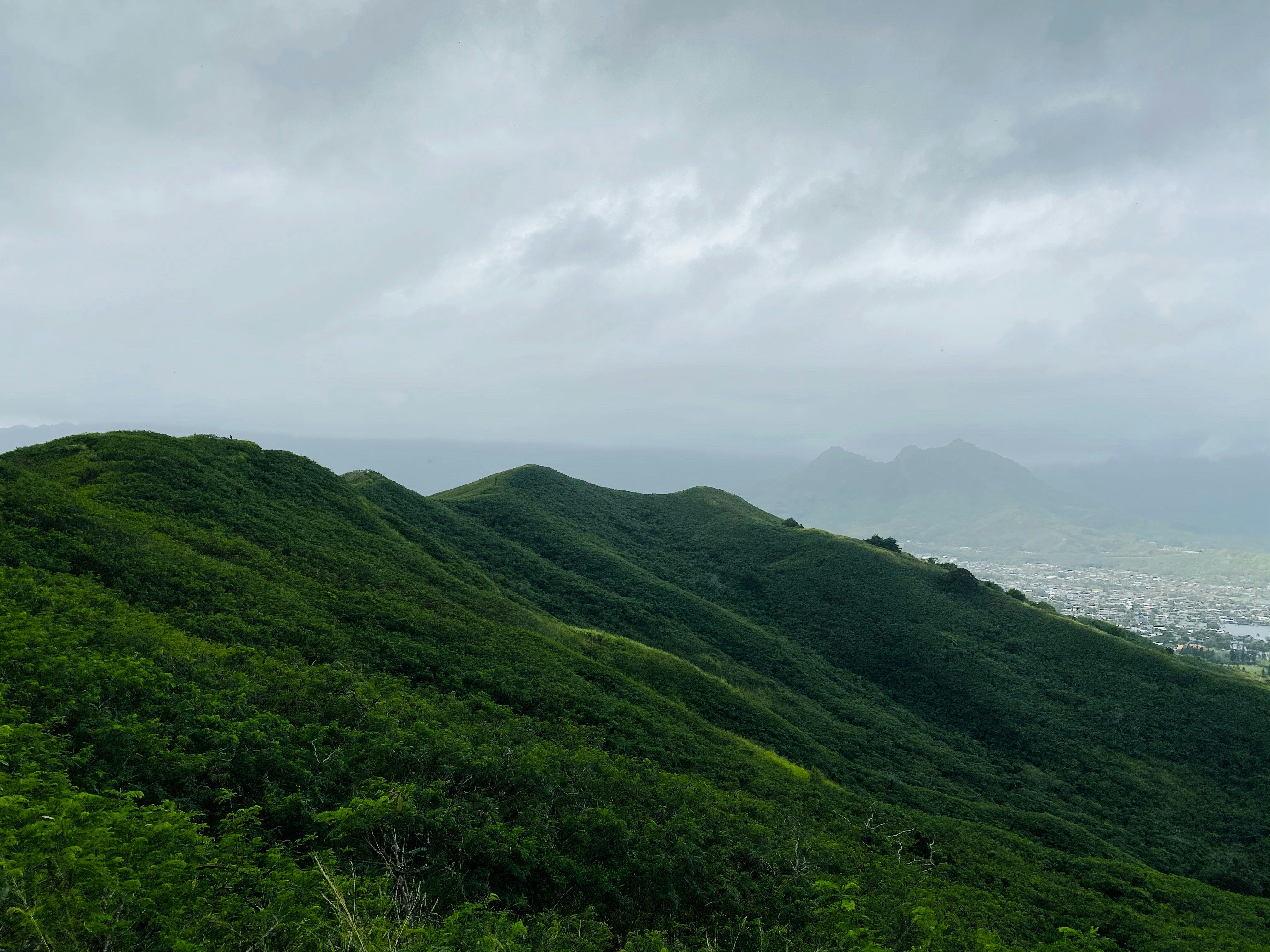 Lush green hills undulate under a moody sky, revealing a distant urban landscape nestled in the valley. A serene yet dynamic portrayal of nature's contours.