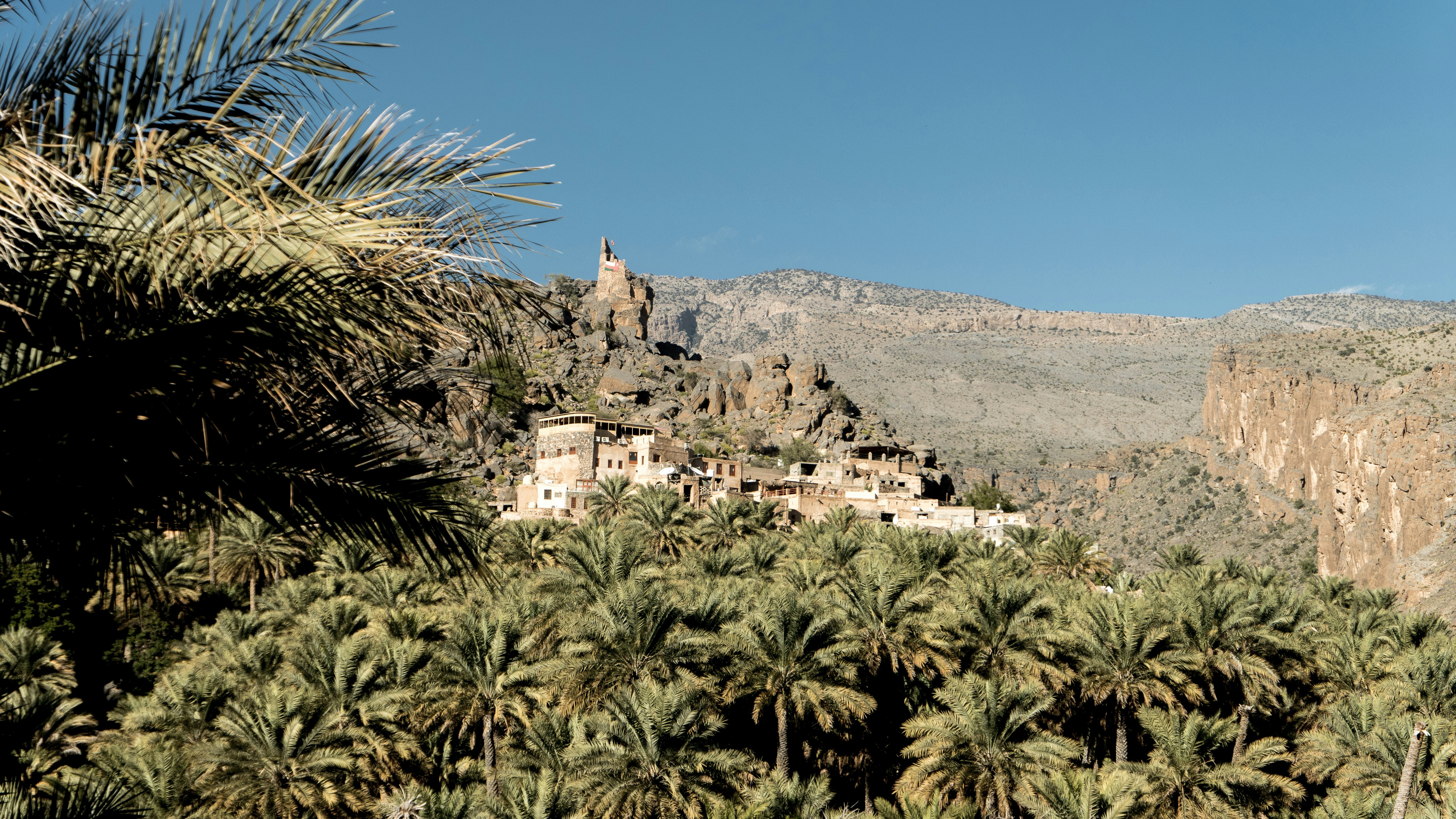 Ancient hillside village surrounded by lush palm trees under a clear blue sky.