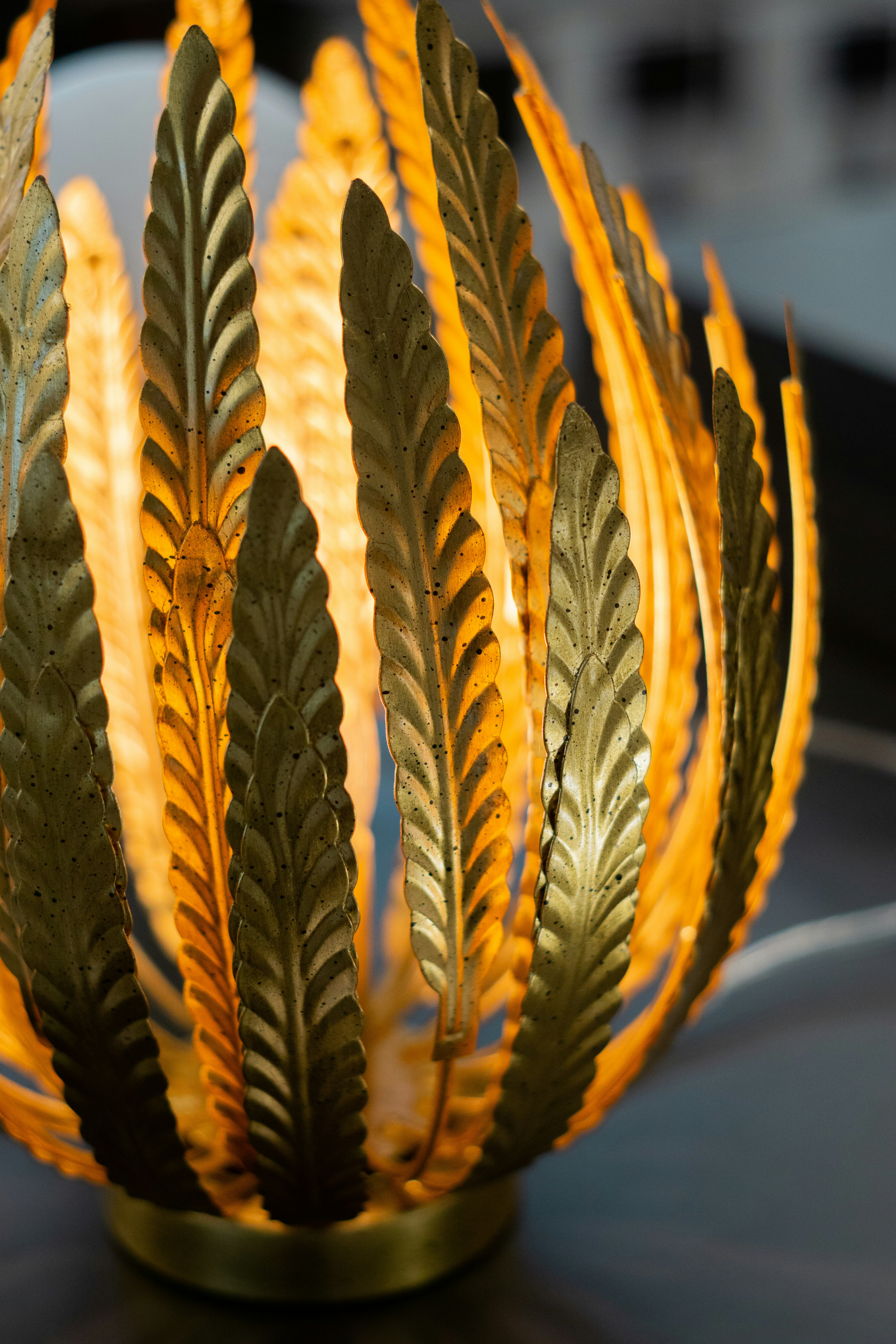 green plant in close up photography