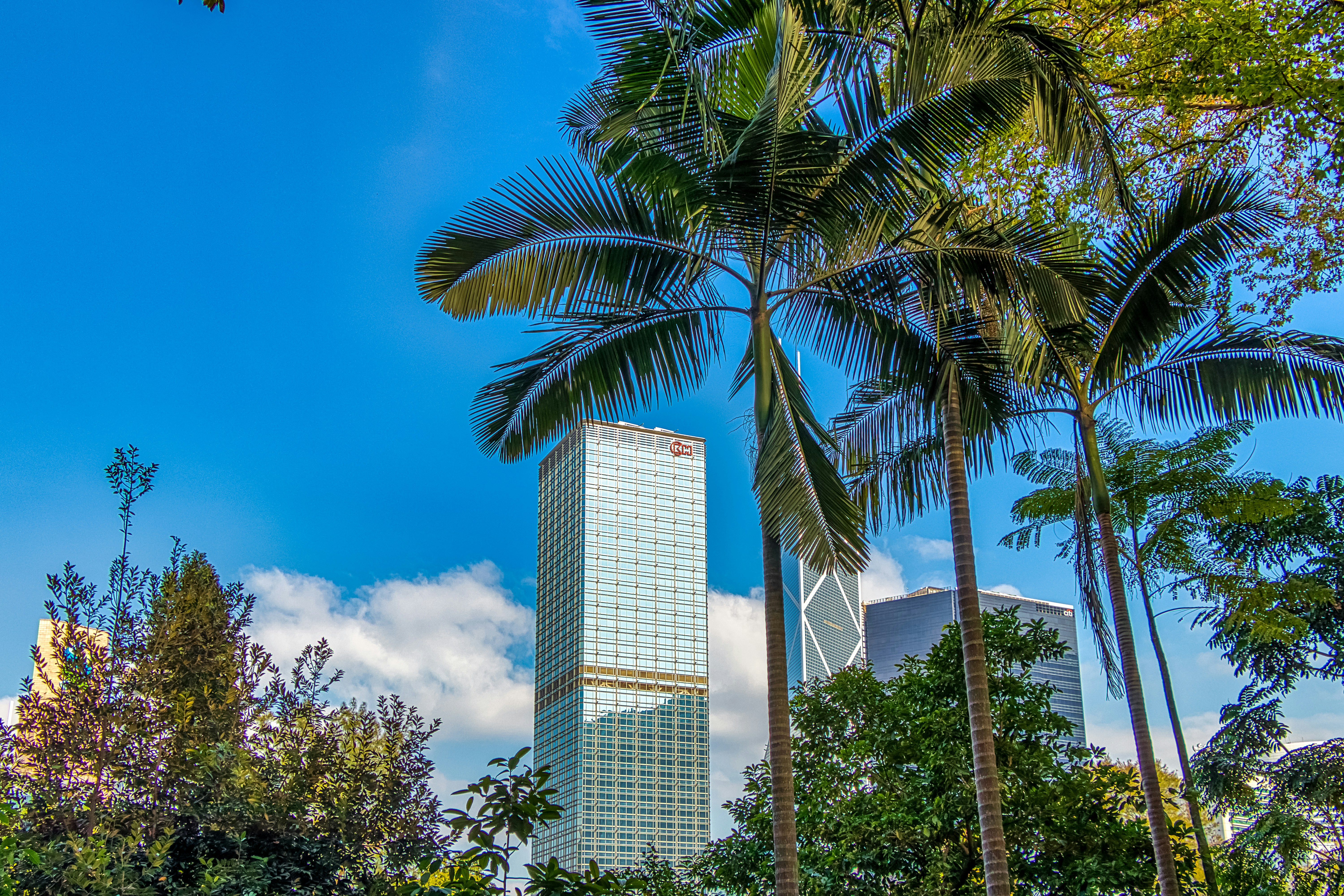 Green palm trees near white high rise building during daytime photo ...