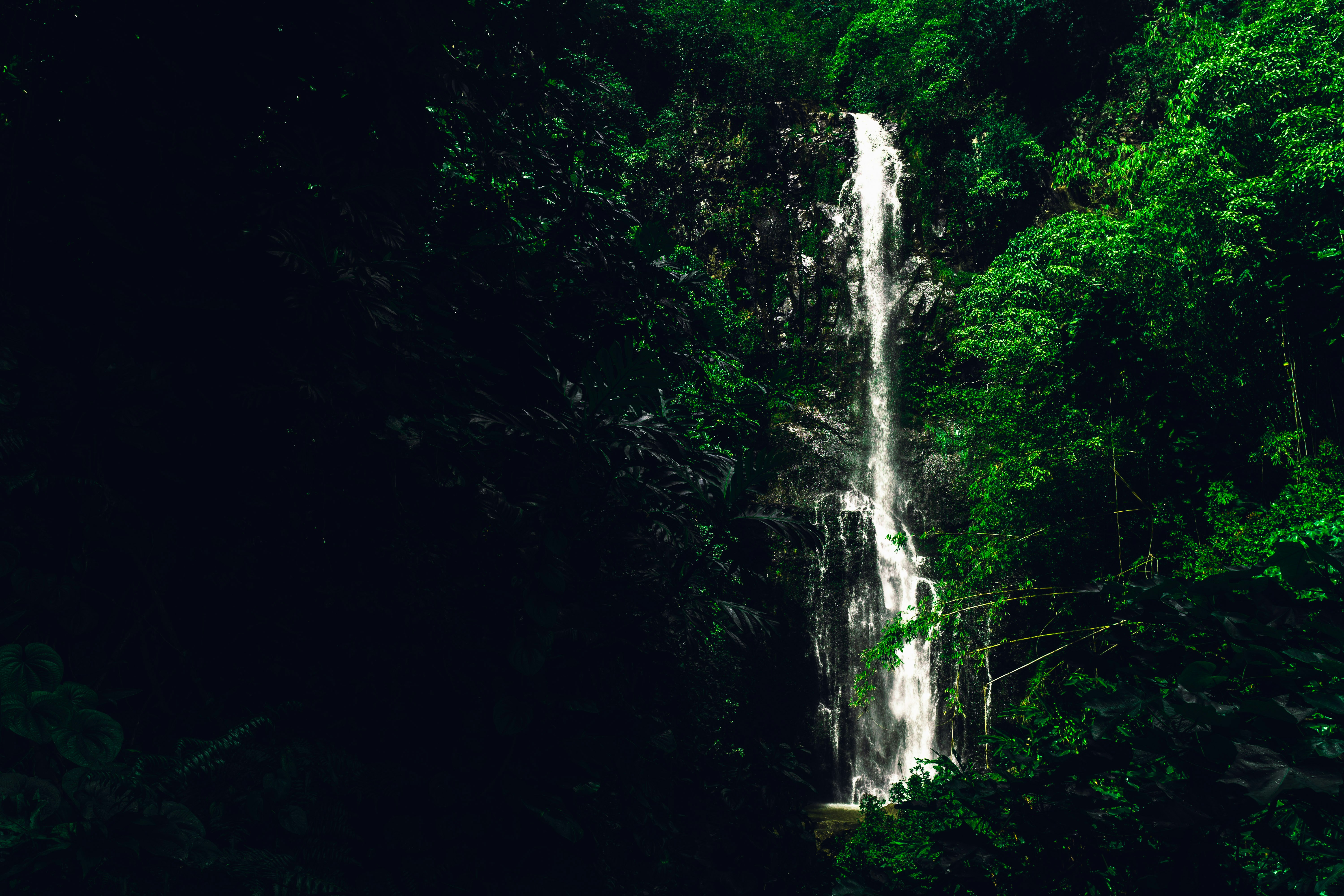 A serene waterfall cascading through lush greenery, surrounded by dense foliage. The scene captures the tranquility of a secluded natural oasis.