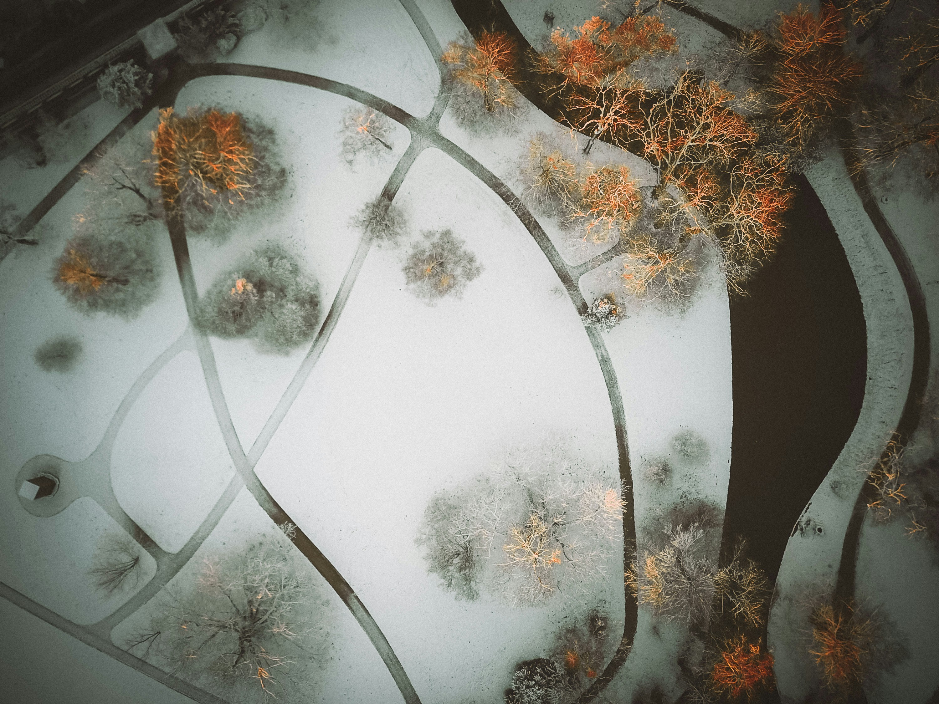 Snow-Curved Constellation: Aerial Portrait of a Park's Circular Paths