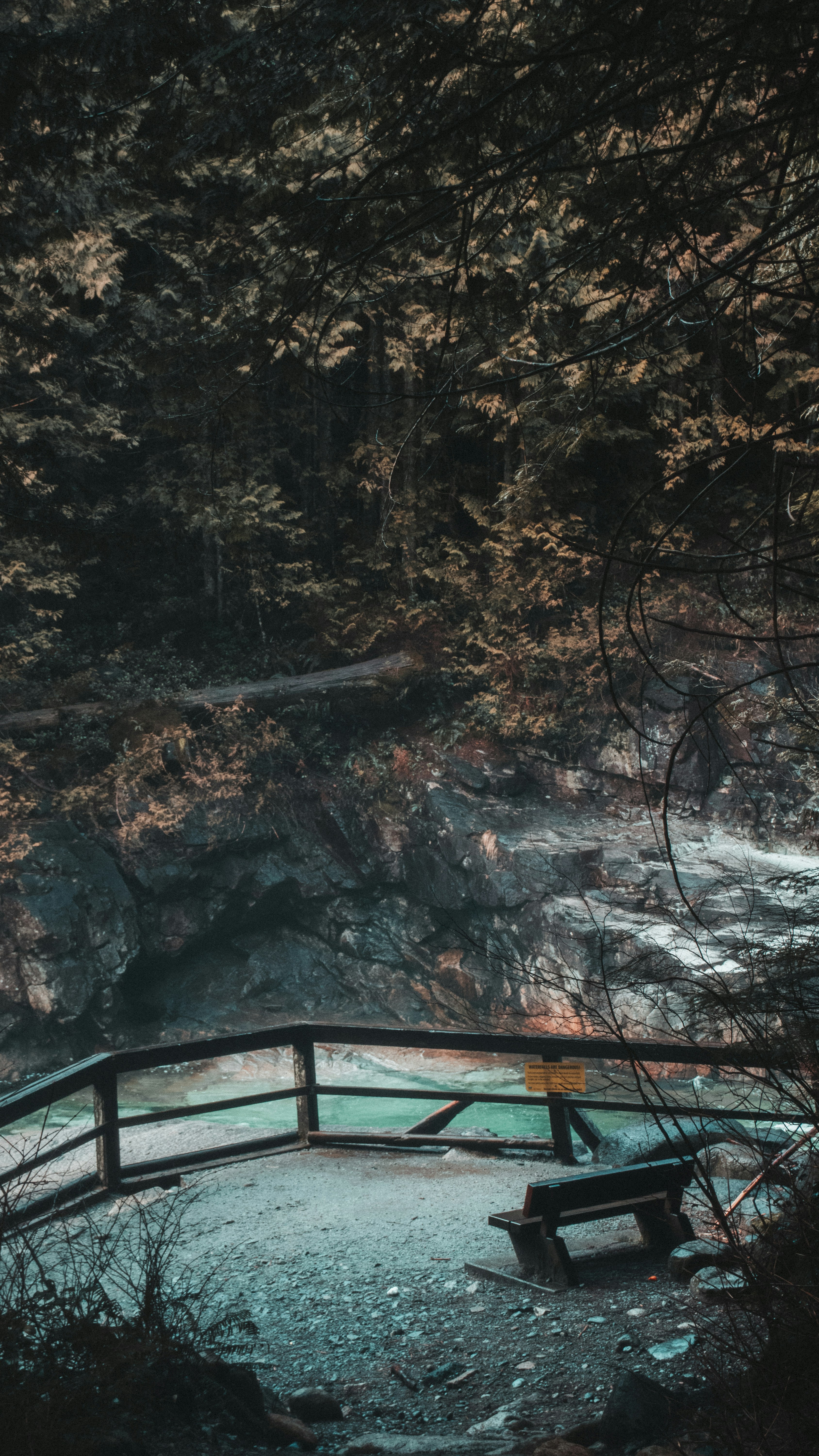 Riverside overlook: a frosted wooden deck in a shadowed forest