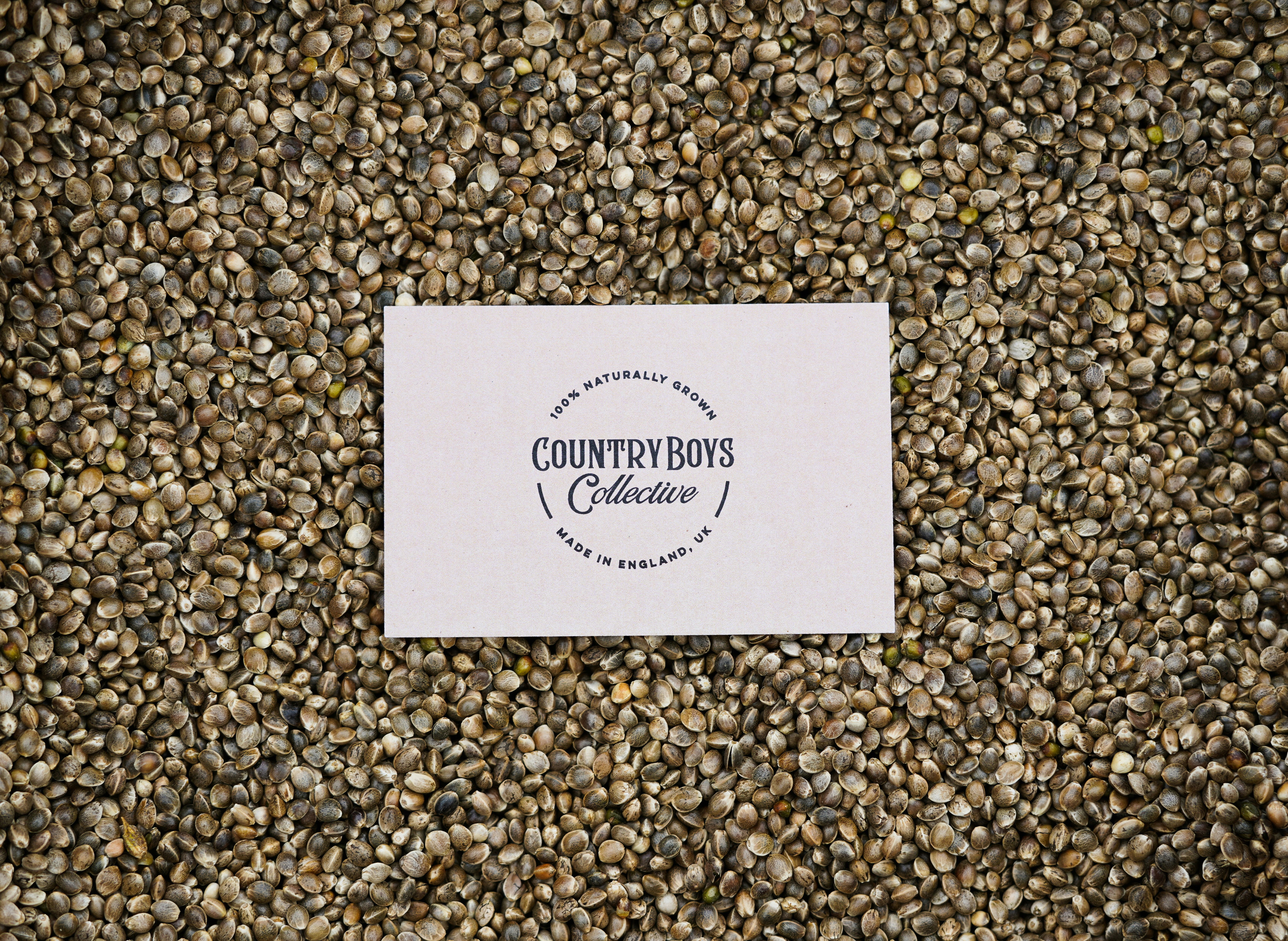 Seed Sea Portrait: A Country Boys Collective Card Anchored on Texture