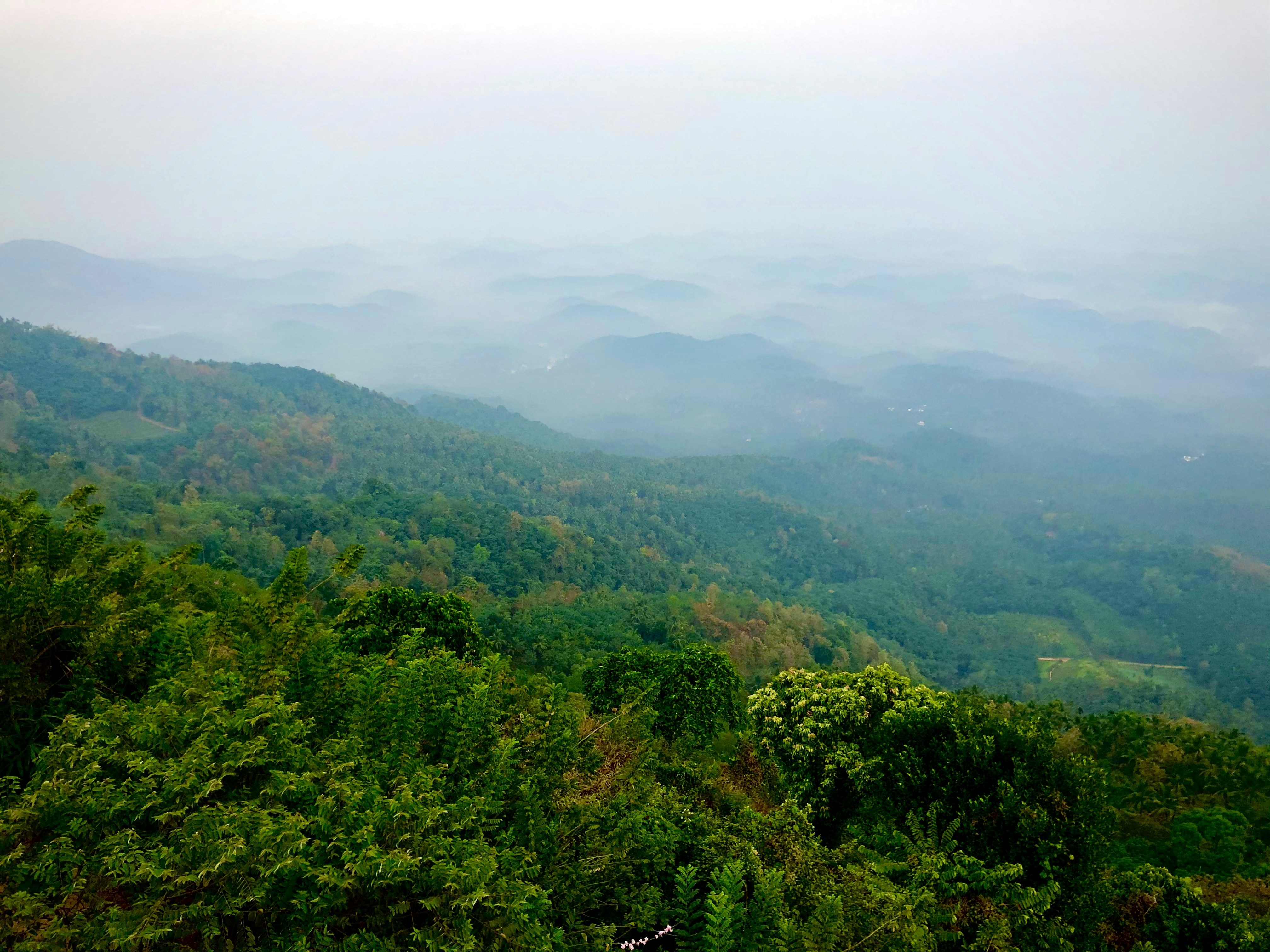 Horizon in Haze: A Quiet Panorama of Green Slopes
