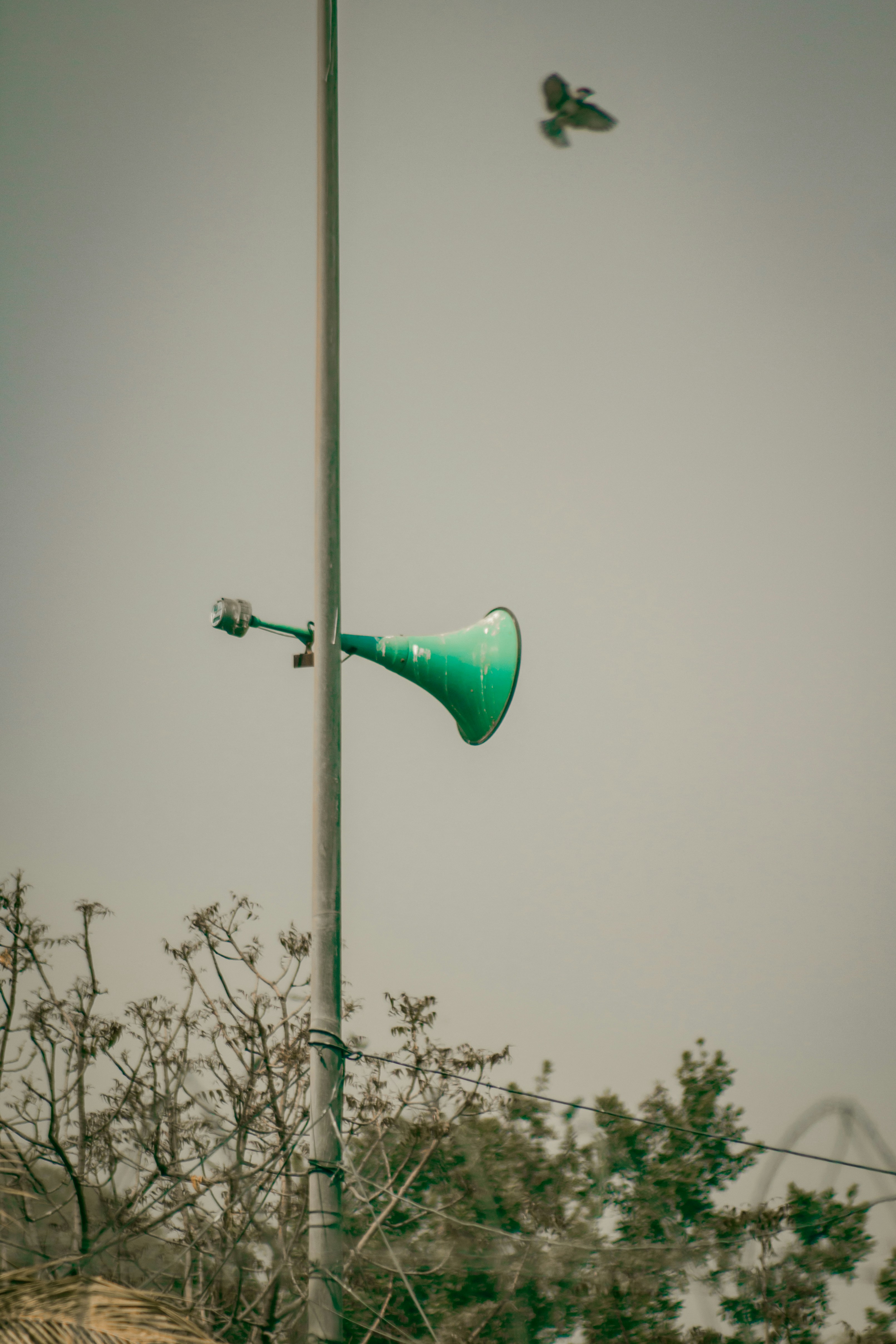 Loud speaker with motion blurred bird