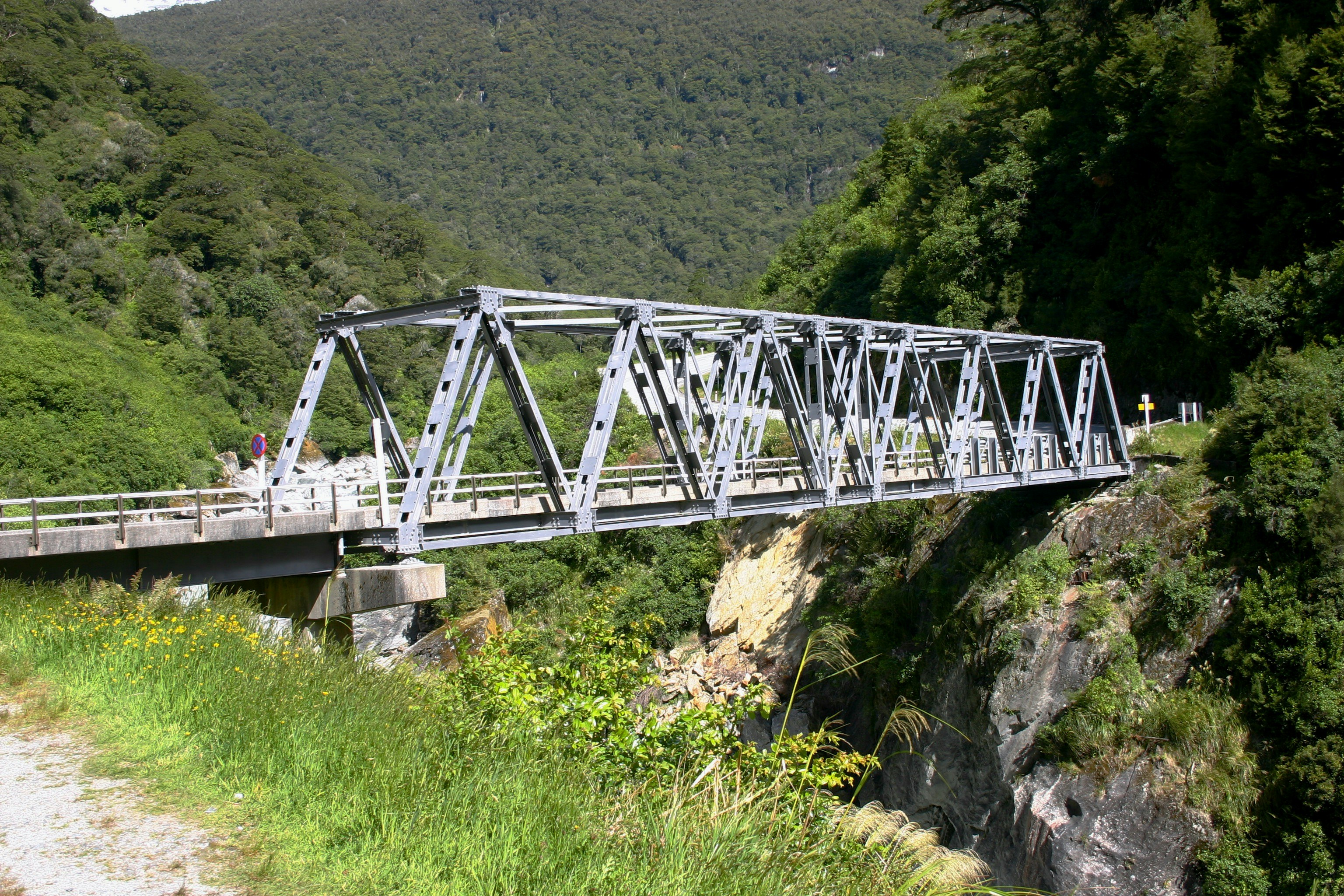 Metal bridge spanning a lush green gorge, surrounded by dense forest and mountains in the background.
