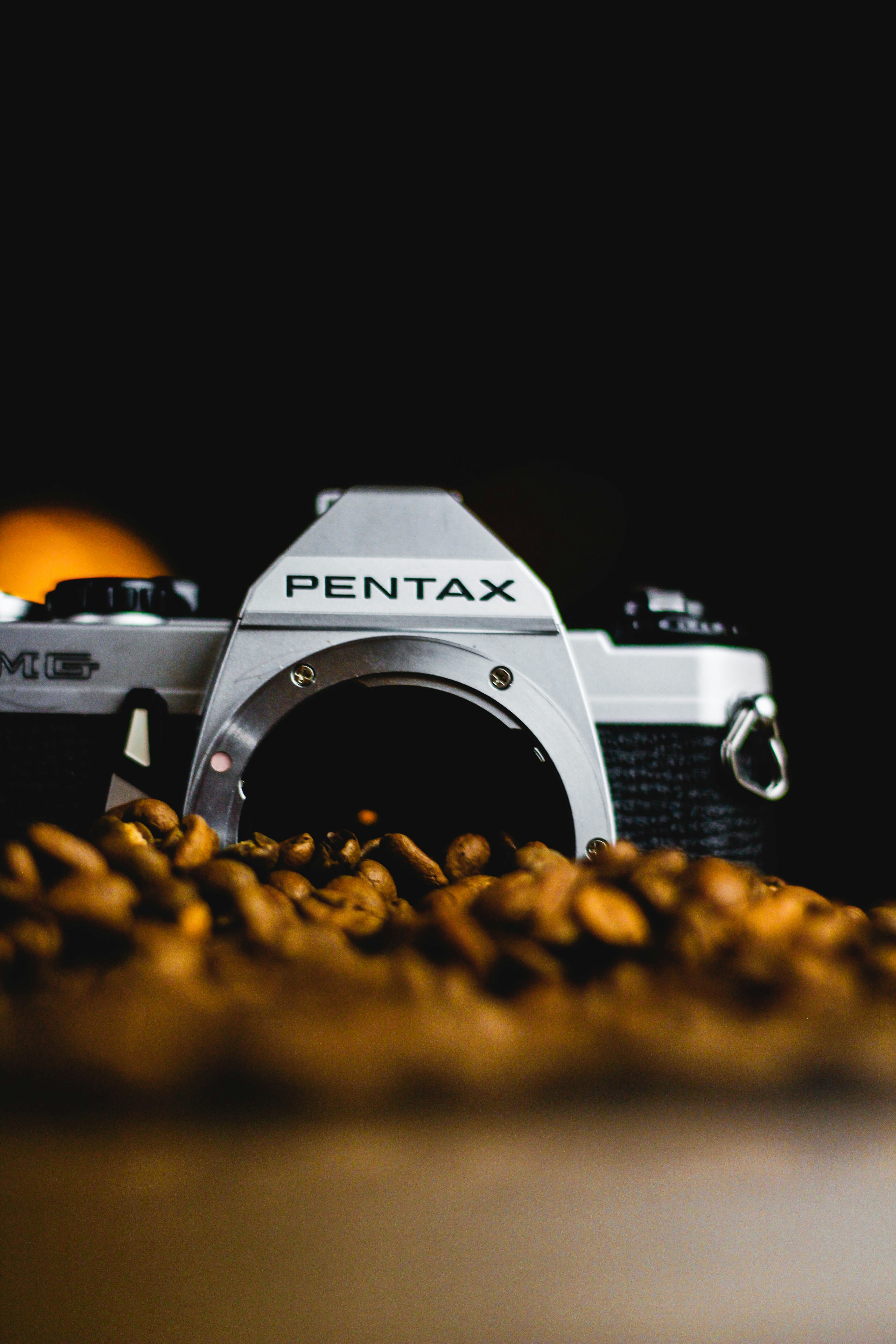 Pentax on a Bed of Beans: A Quiet Macro Moment