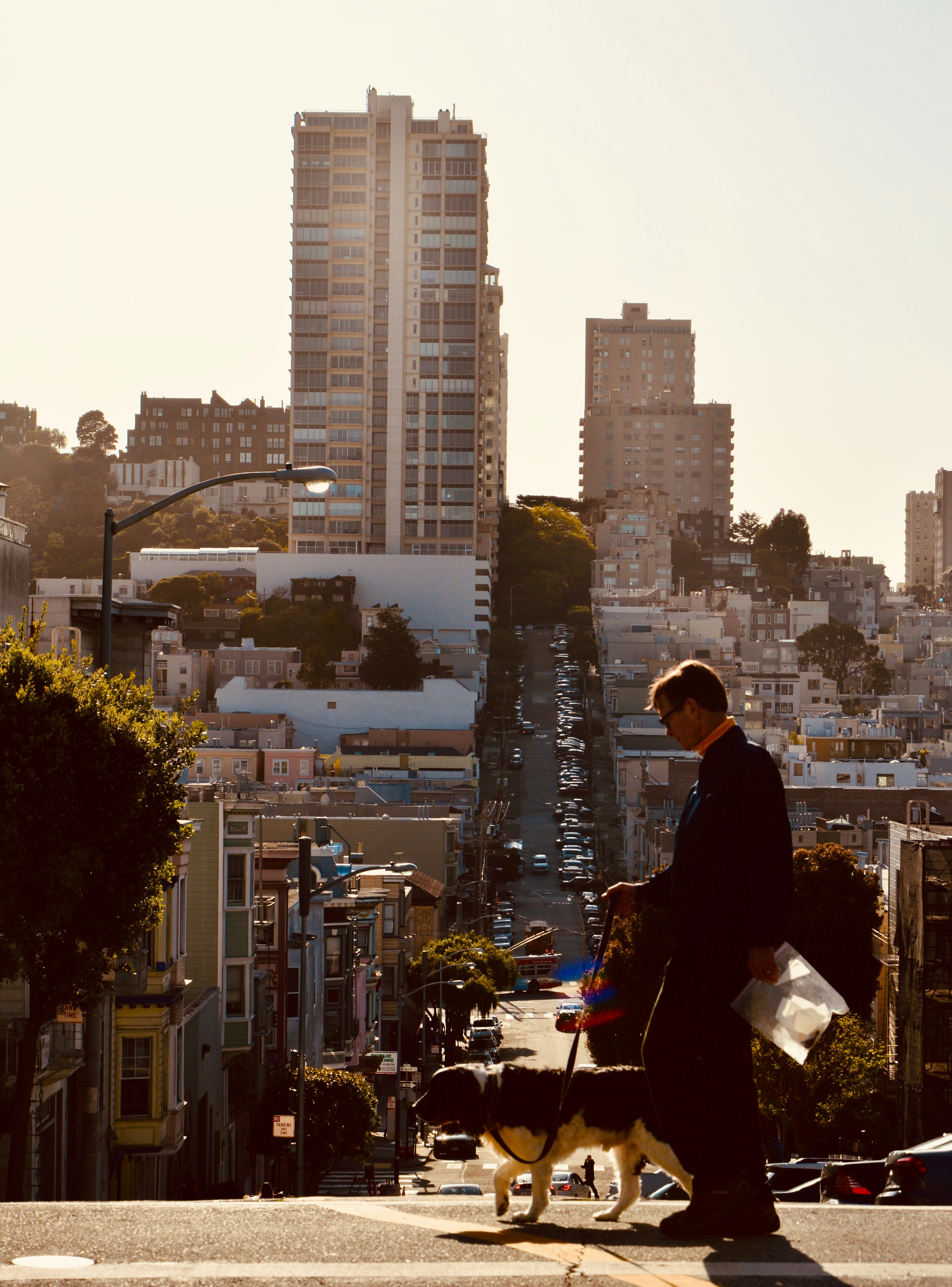 A man walking his dog in downtown San Fran. The city with most dogs adopted yayyy!!

