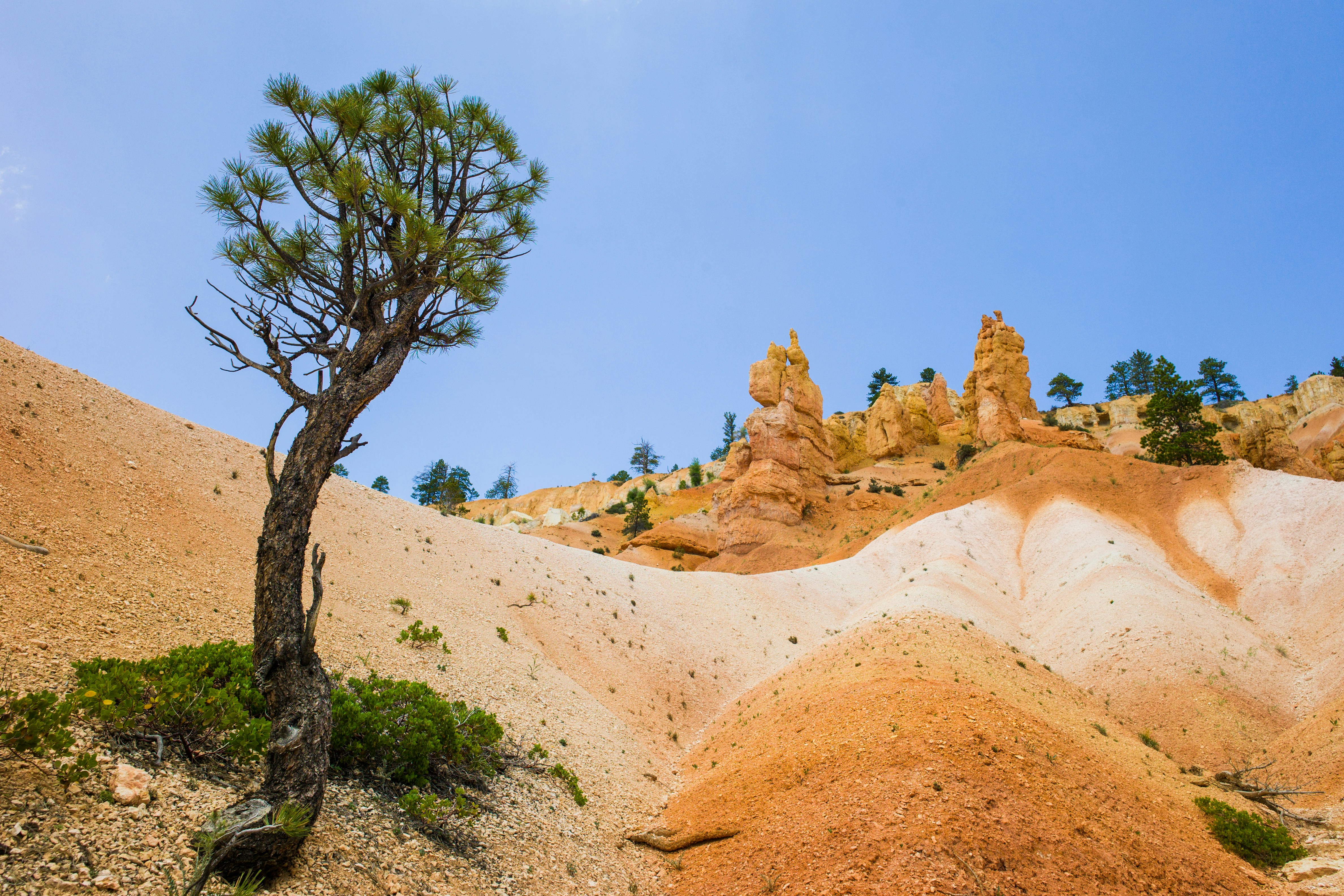 James Ting (@jamesting) | Unsplash Photo Community