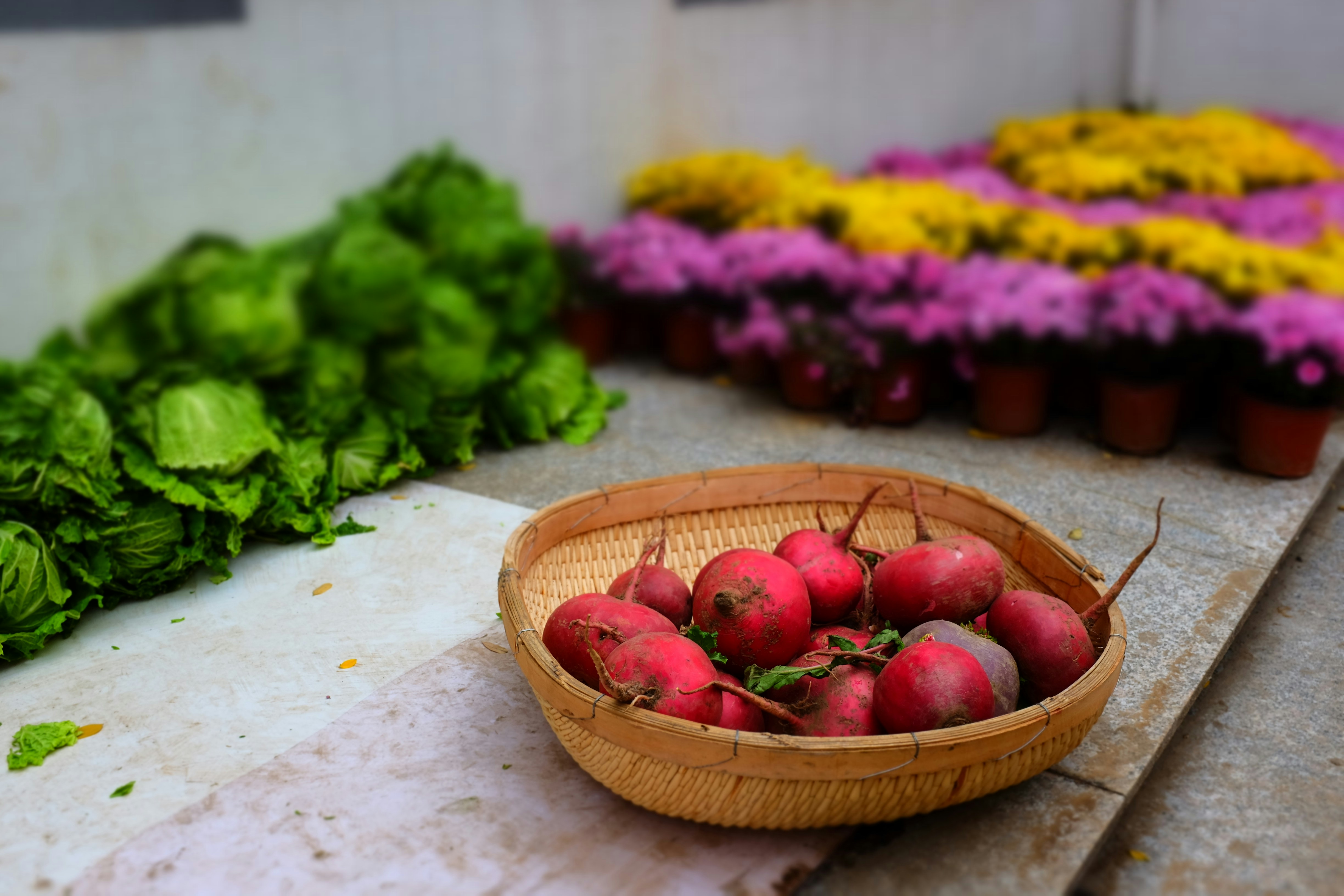 Red Radishes in a Woven Basket Framed by Garden Edibles