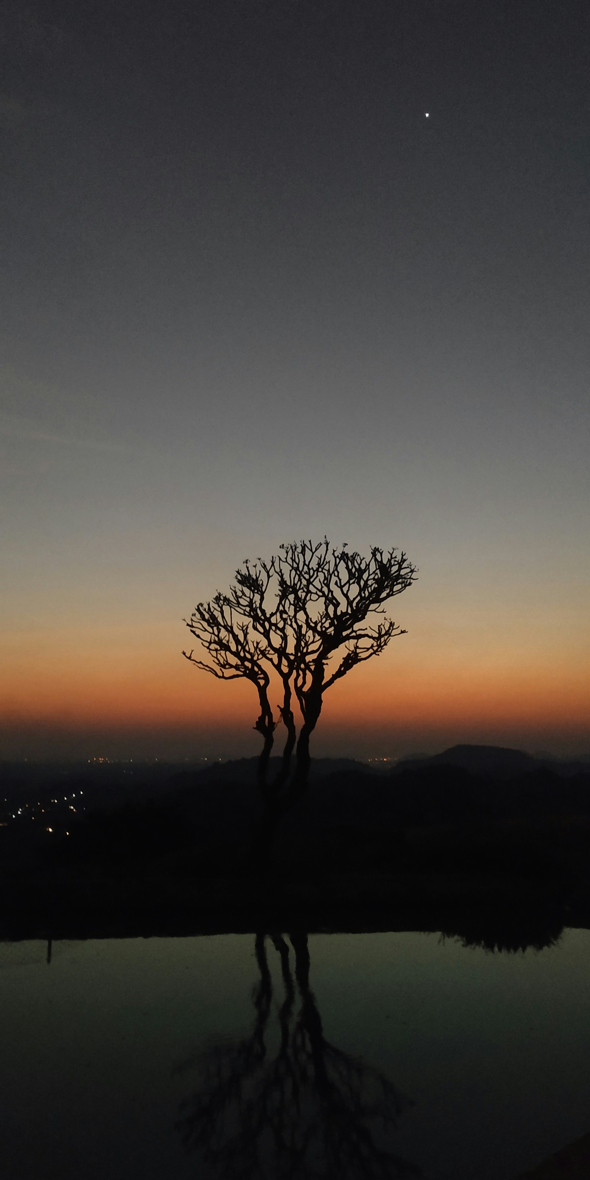 Leafless tree on top of mountain during sunset photo – Free Hampi Image ...