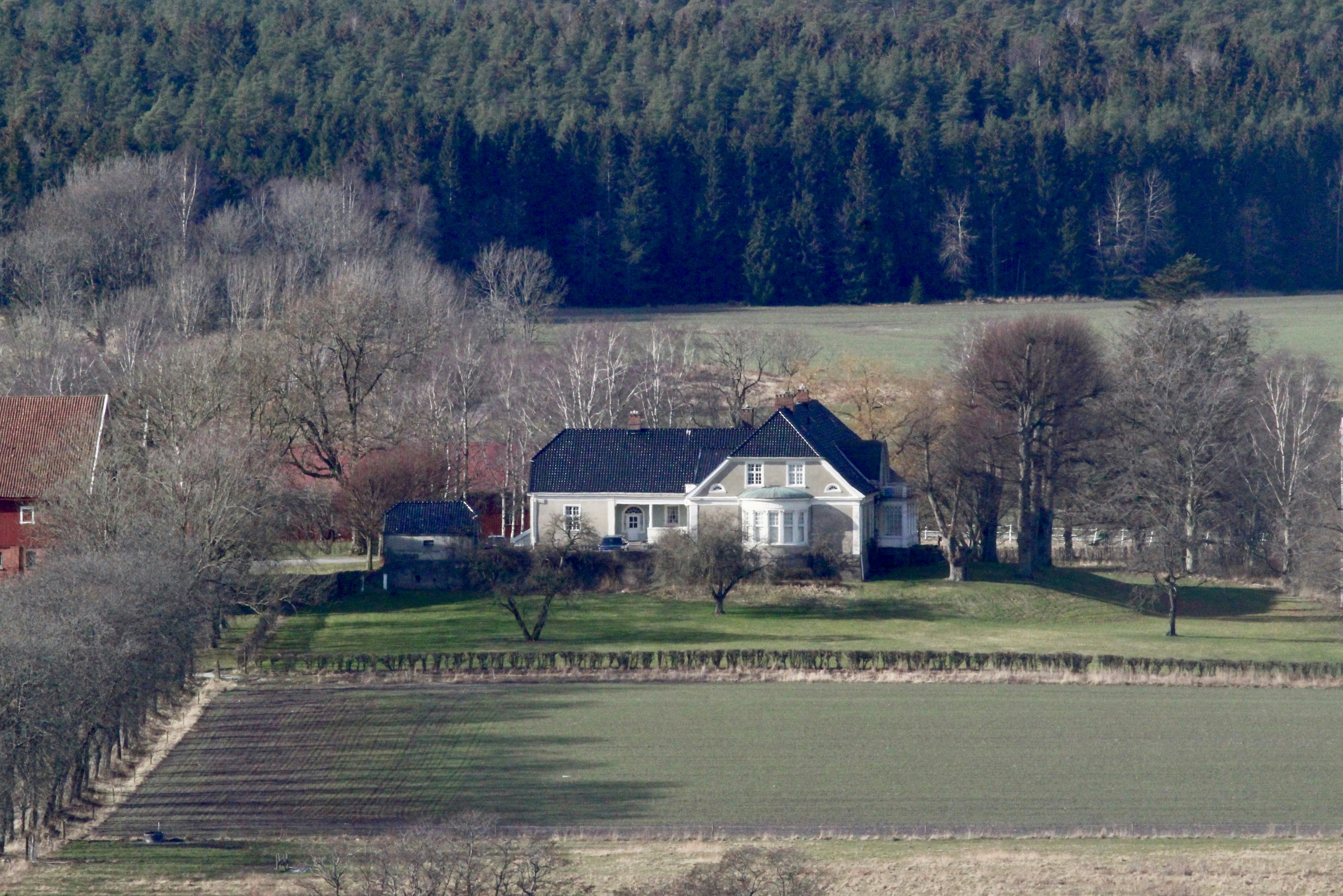 White Farmhouse in a Quiet Rural Slice, Framed by Bare Trees and Verdant Fields