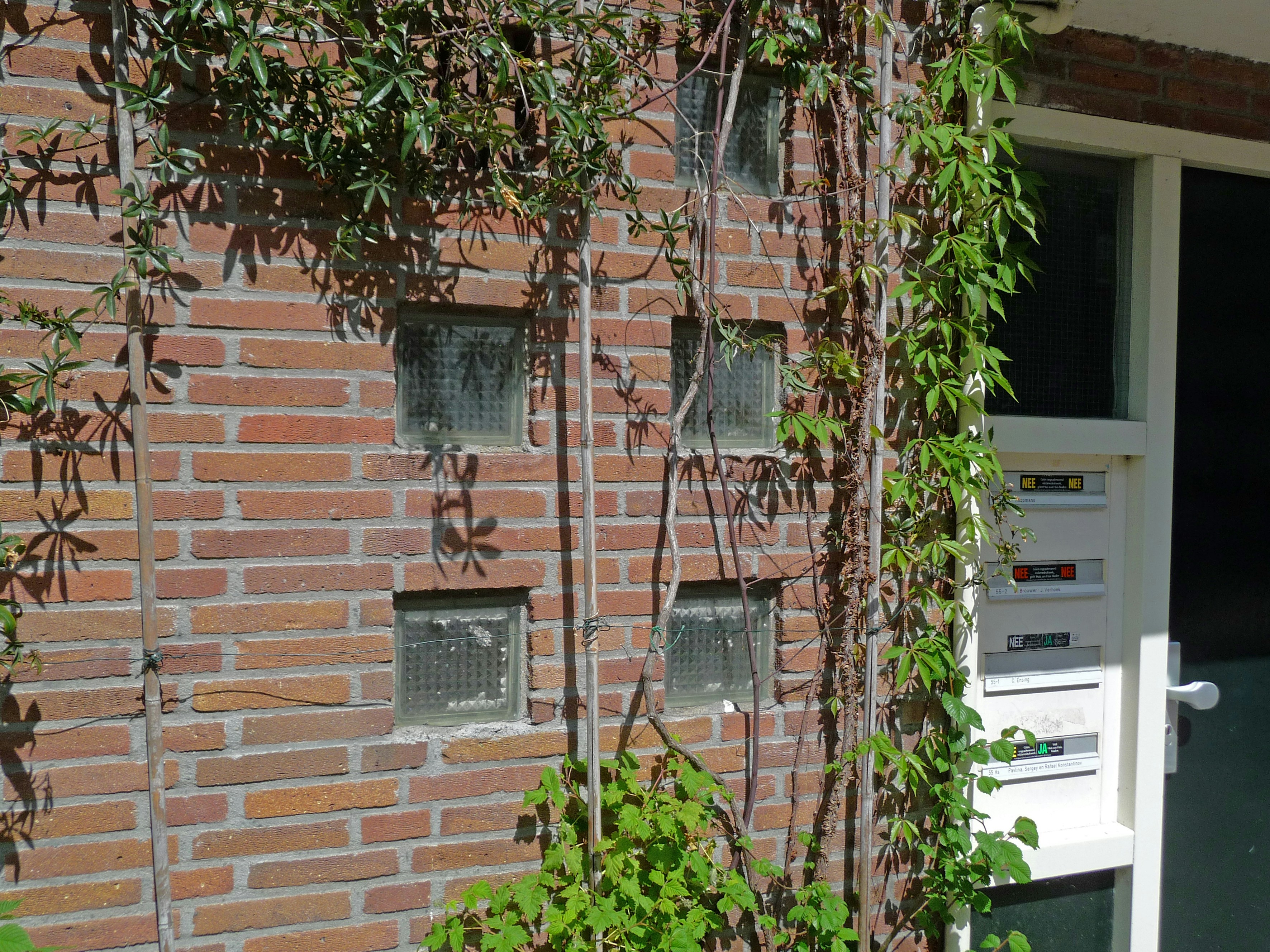 Brick wall adorned with climbing vines and glass blocks, showcasing a blend of nature and architecture. A mail slot is visible on the right side.