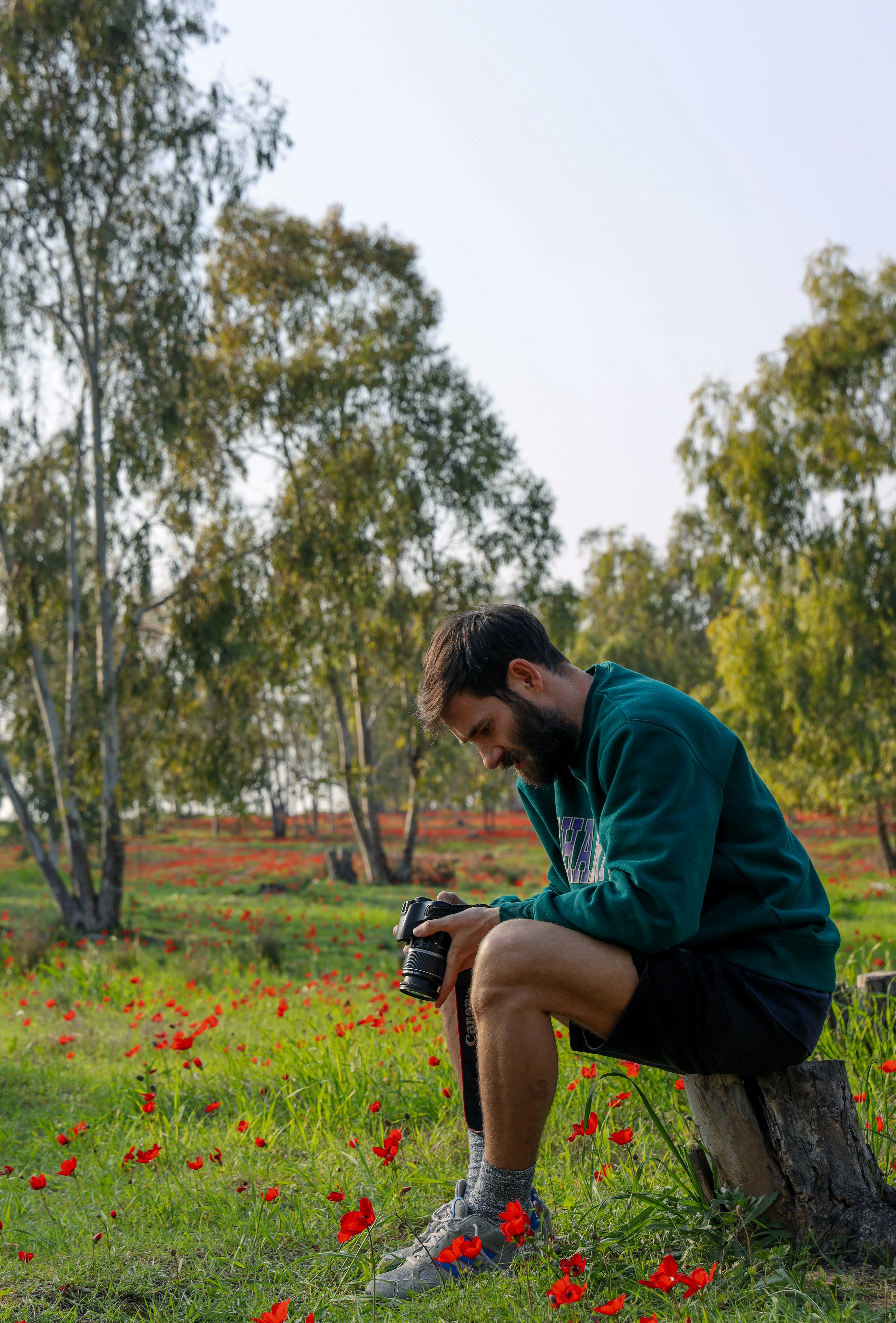 Shokeda forest 
@Israel 