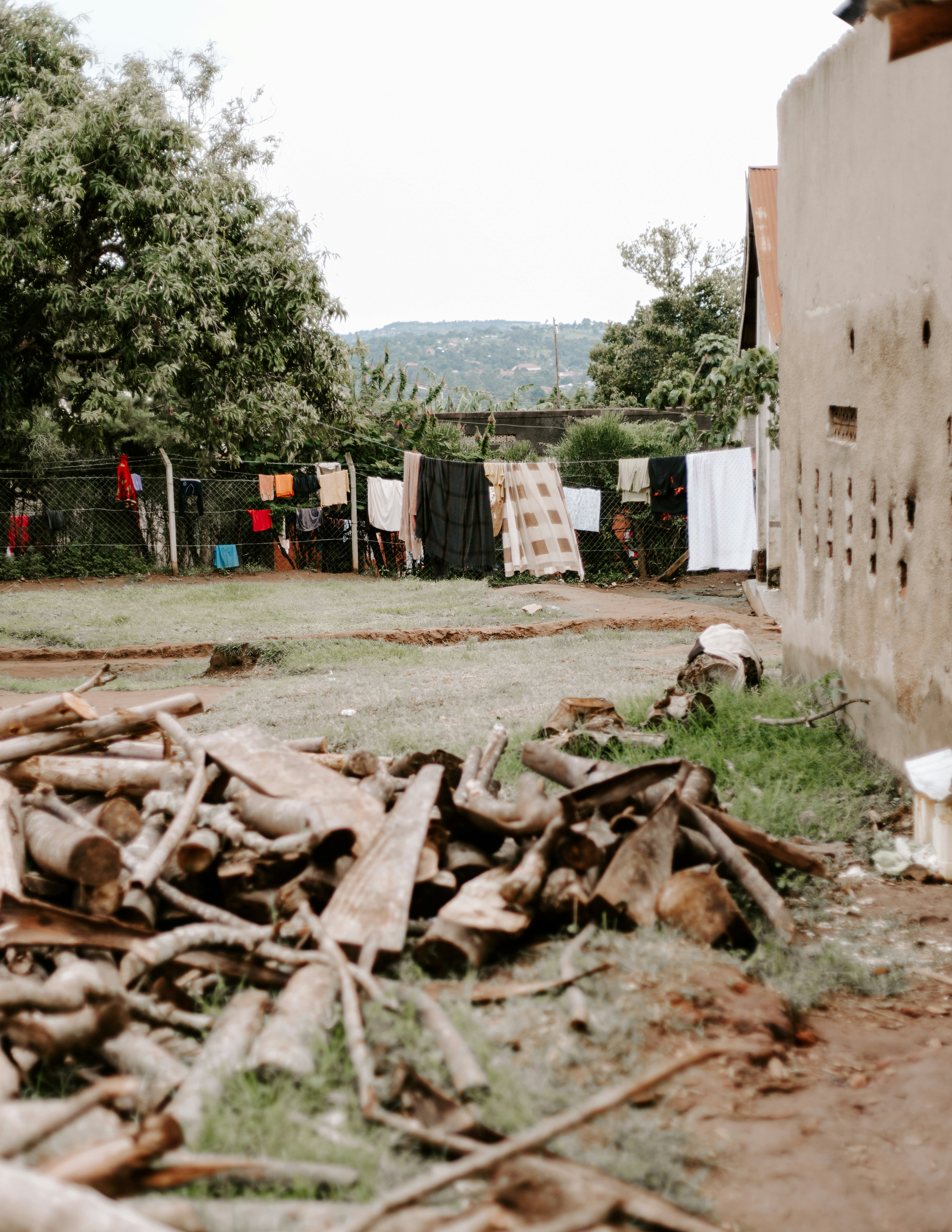 Brown wood logs on the ground photo – Free Uganda Image on Unsplash