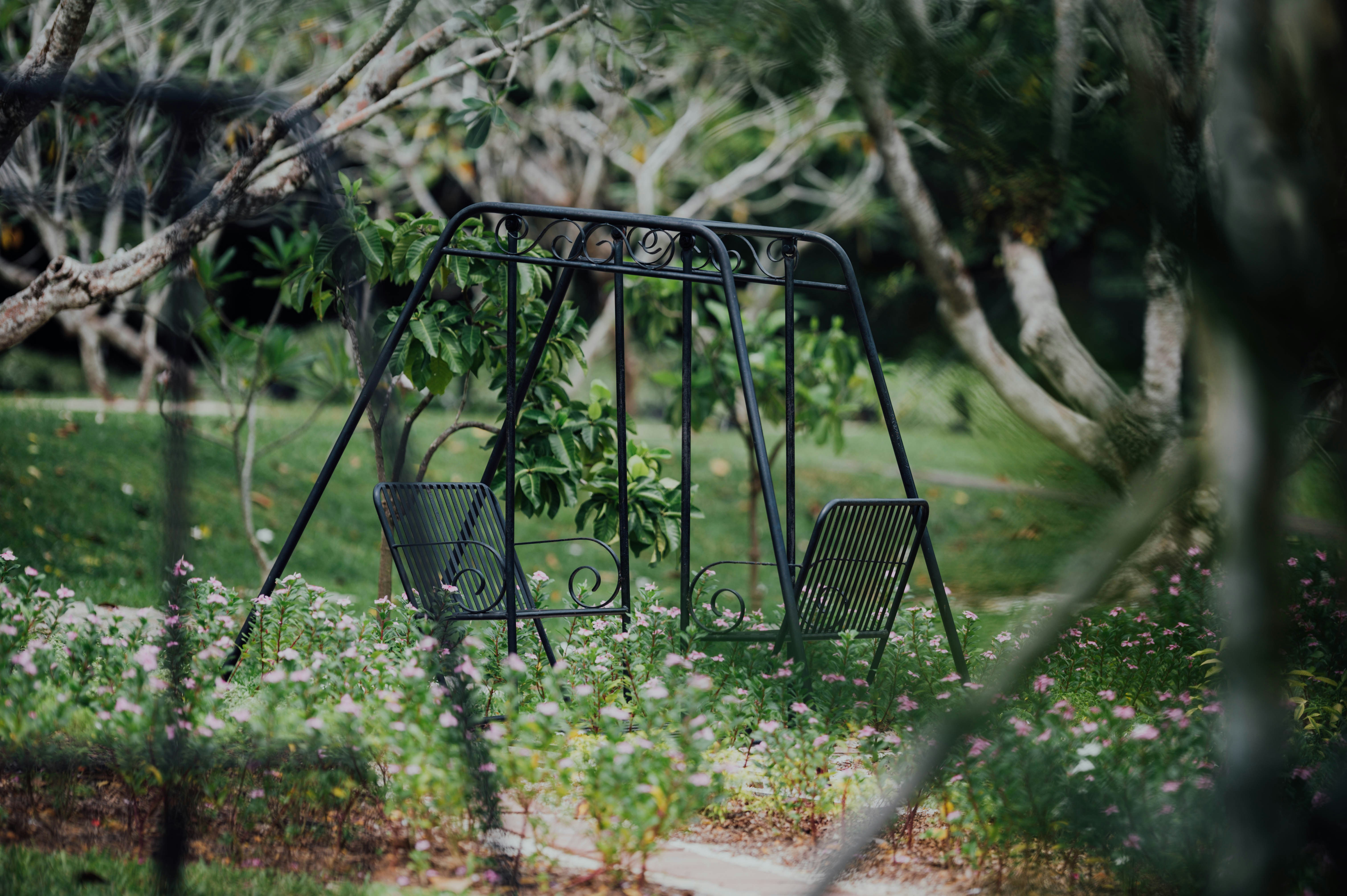 Empty Swing Set Framed by Garden Bloom