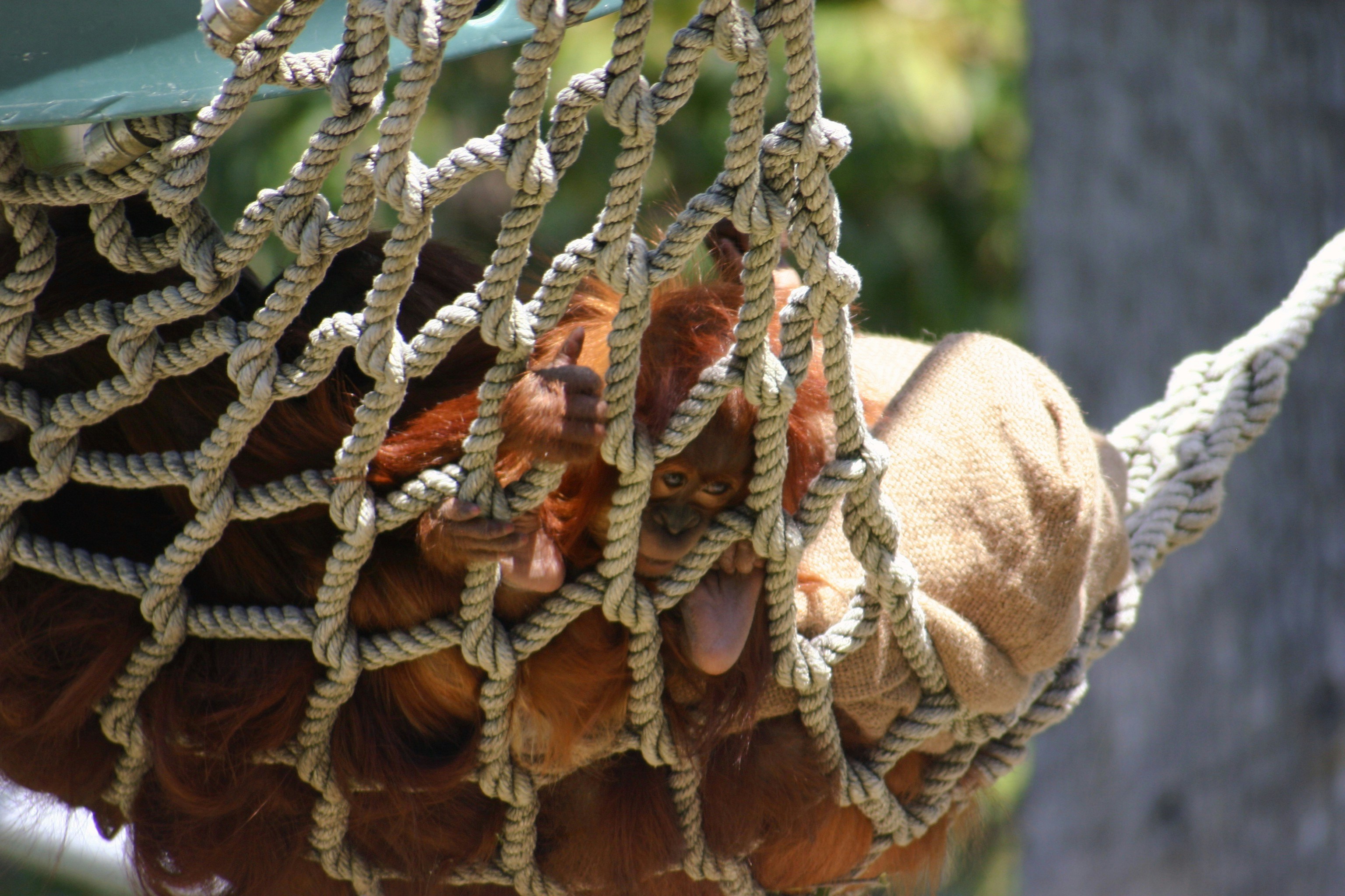 Photo by James Lee with Canon EOS 300D