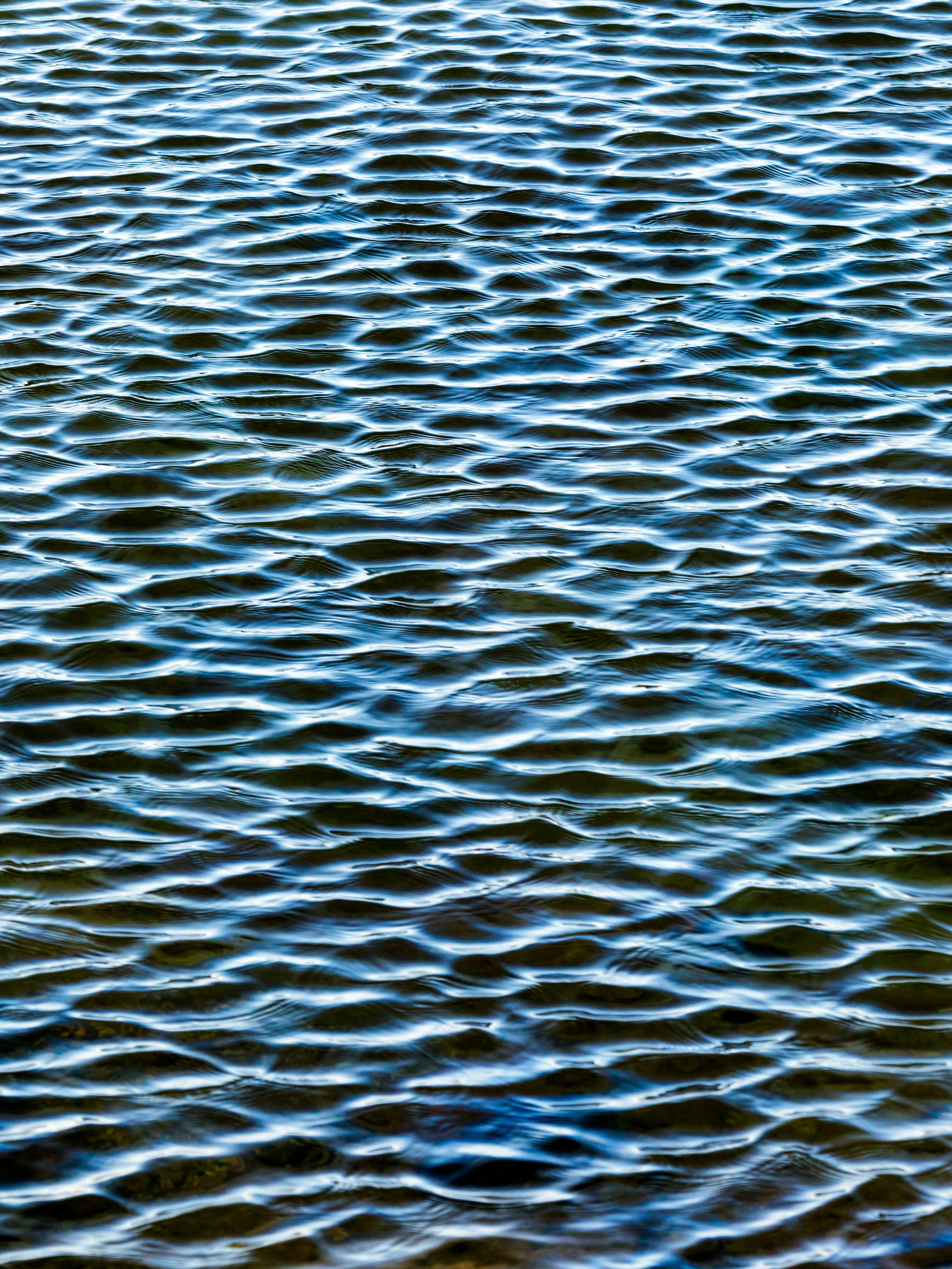 Gentle ripples on a serene water surface, reflecting light and creating a mesmerizing pattern.