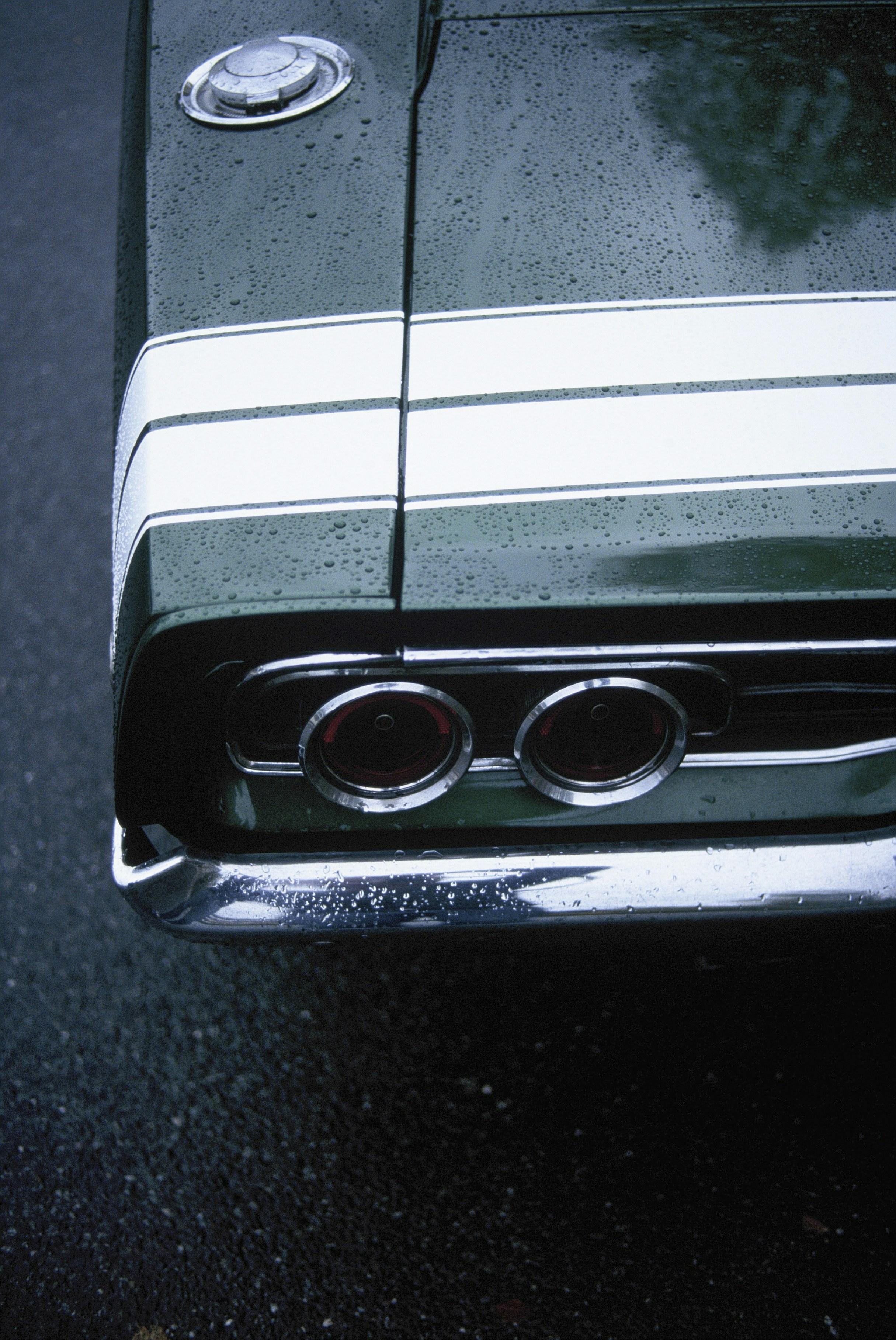 Rain-Kissed Green Tailfin: Chrome Trim and Twin Taillights