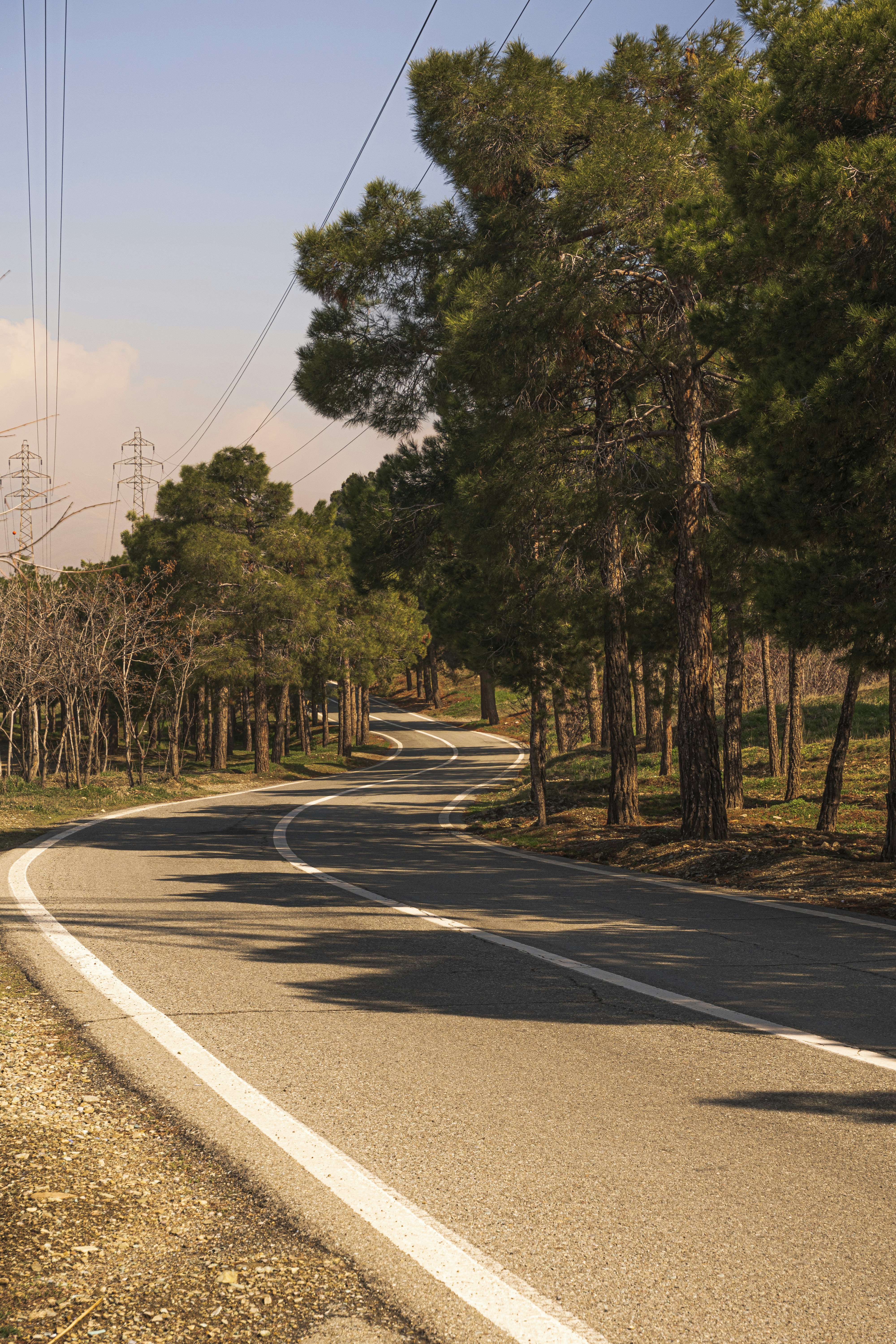 nature | 9 best free nature, outdoor, road and plant photos on Unsplash