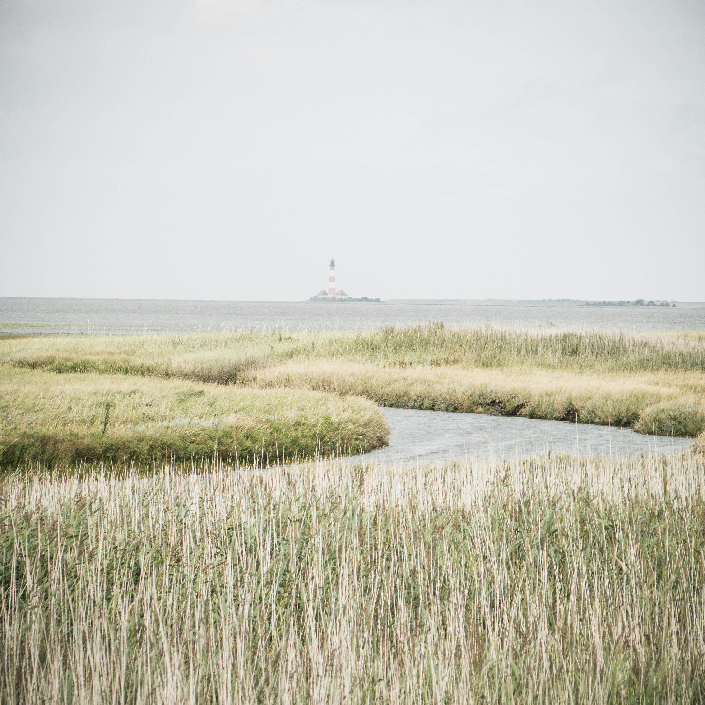 Lighthouse Echoes Across Slender Marshes