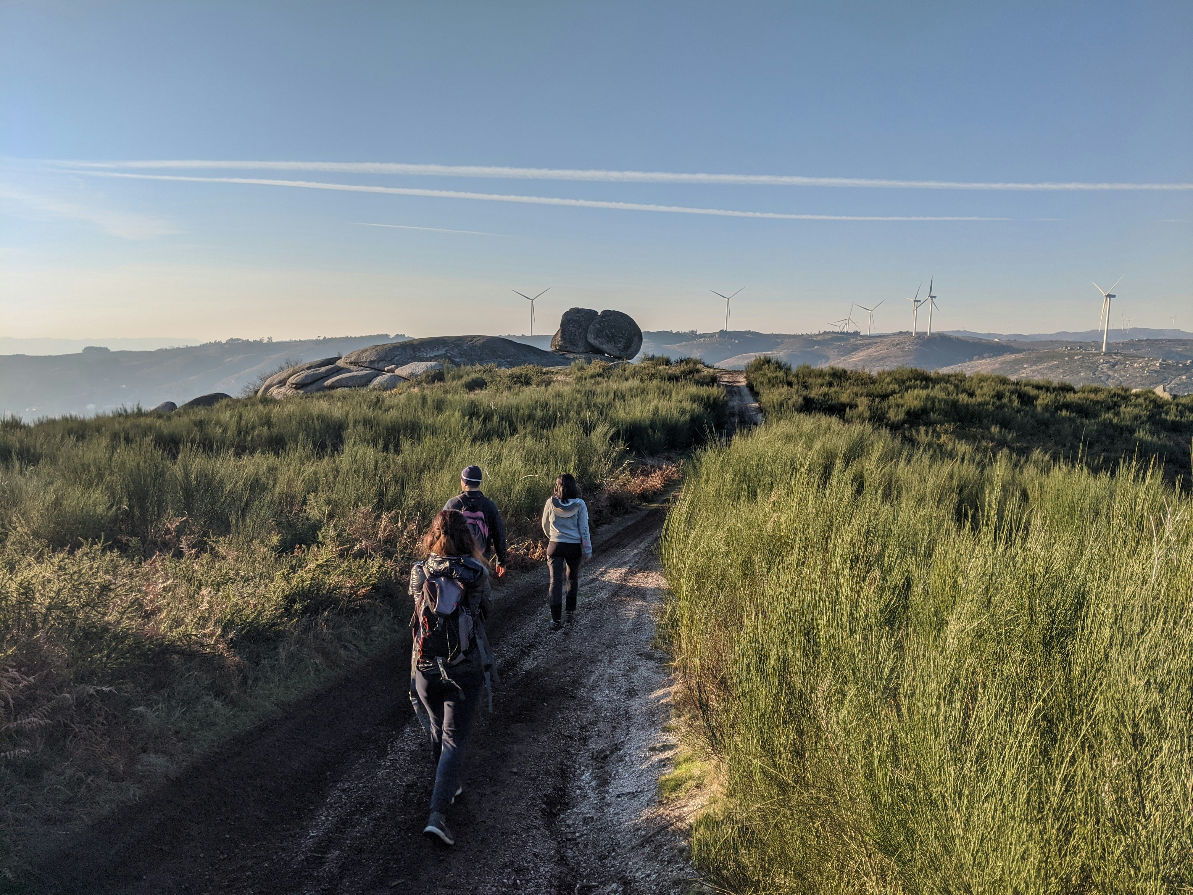 People walking on pathway between green grass field during daytime ...