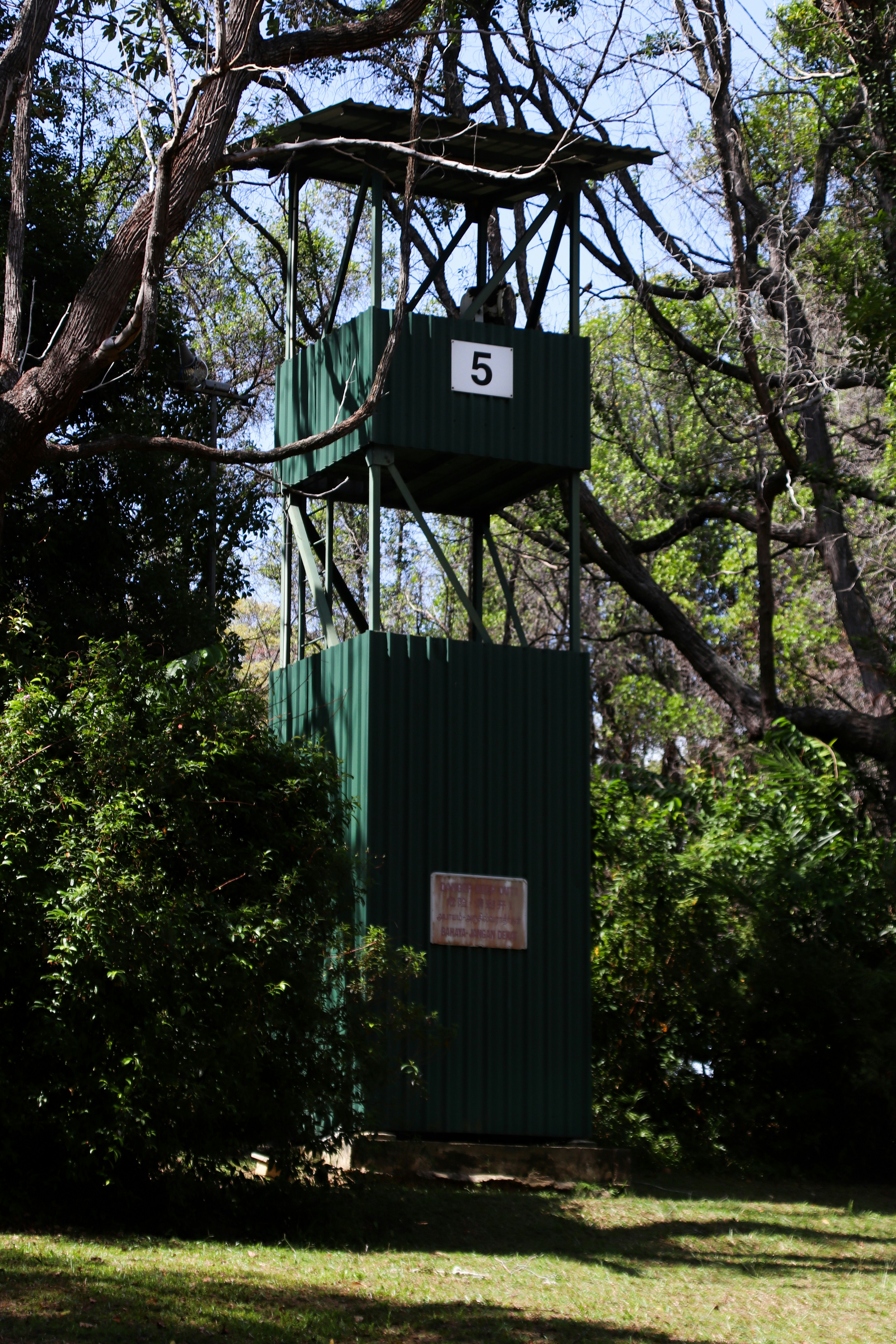Number Five Watchtower Framed by Spring Branches