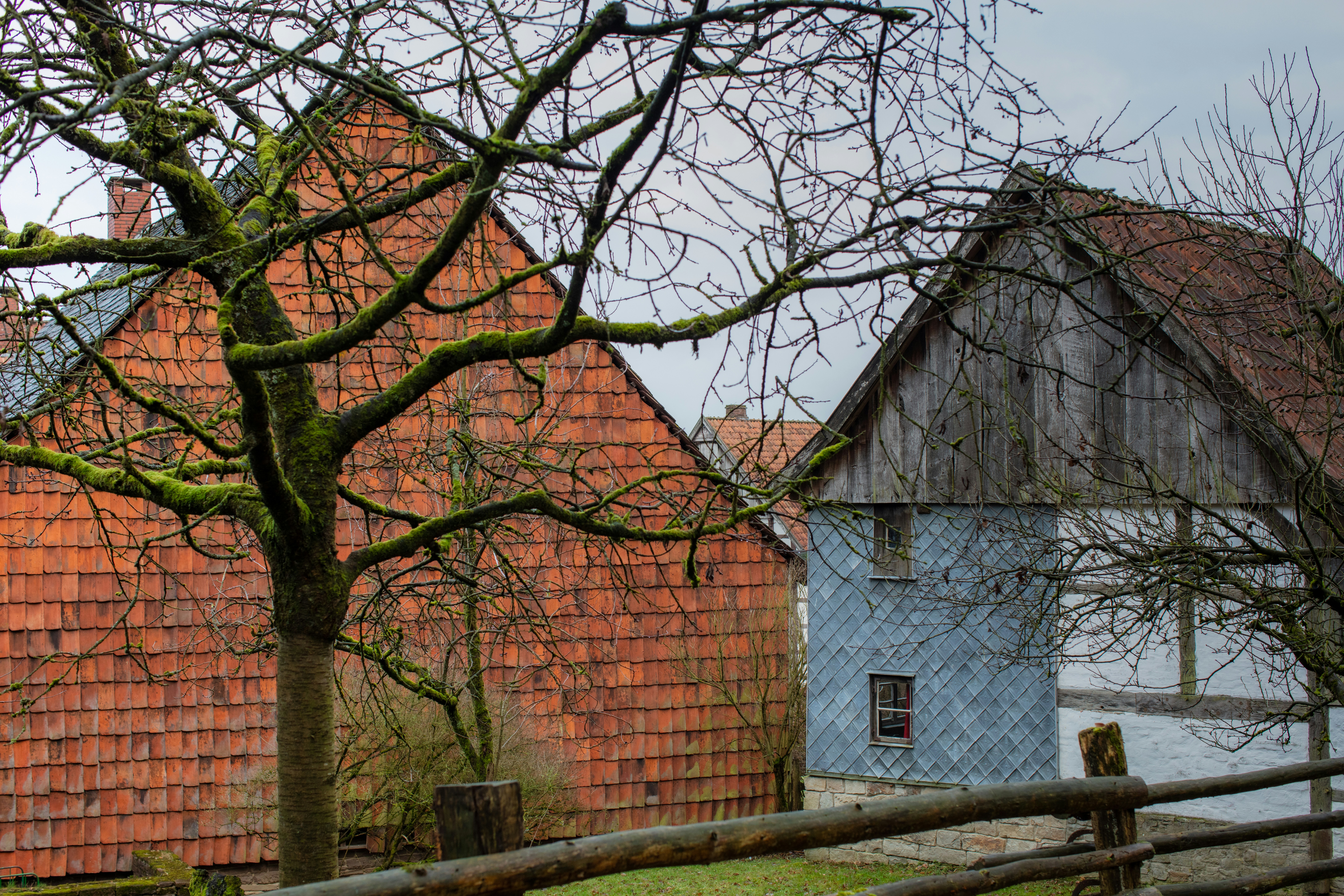 Moss-covered tree branches frame rustic village houses with red and blue facades under a cloudy sky.
