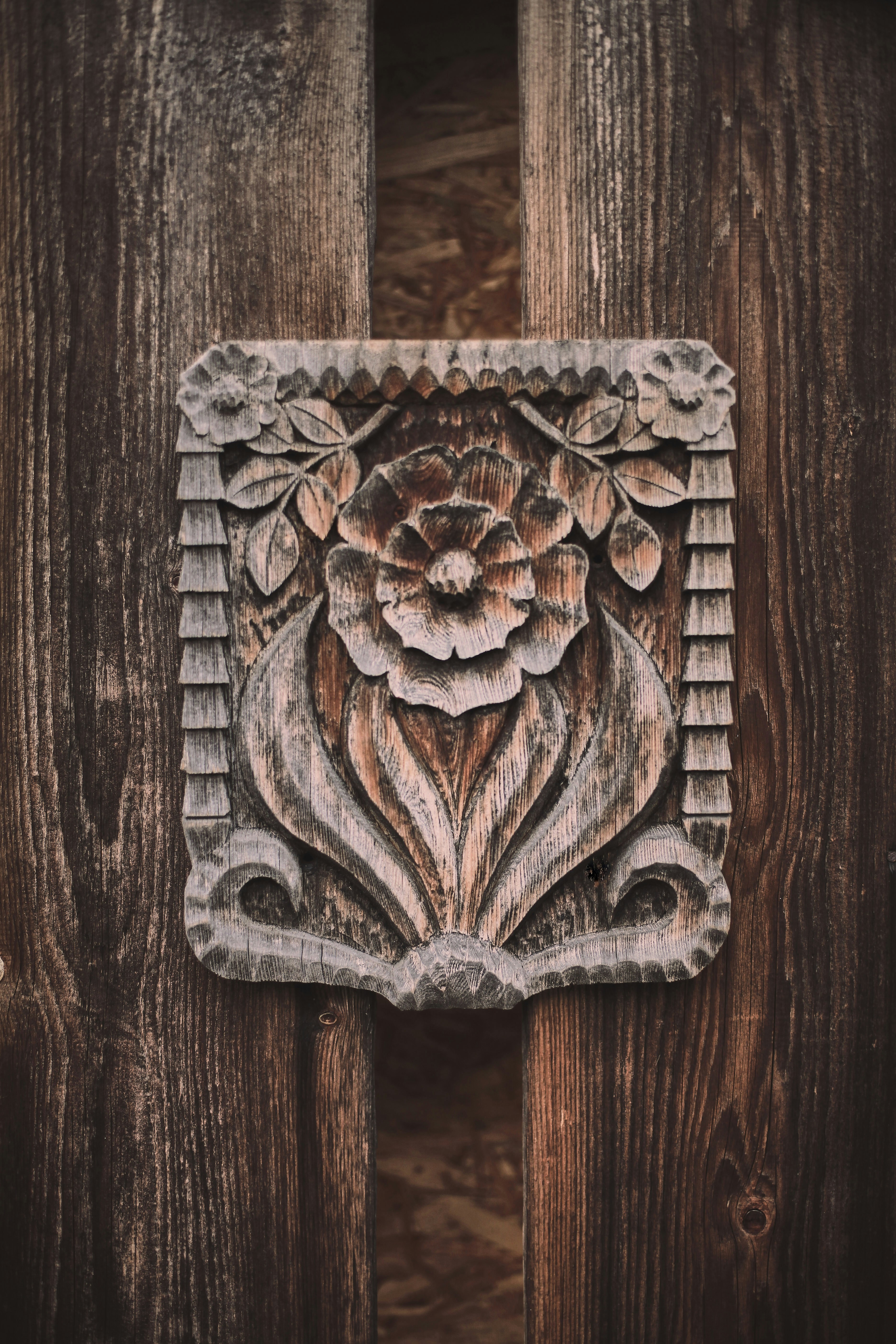 Carved Flora Crest: A Weathered Wood Shield on a Rustic Door