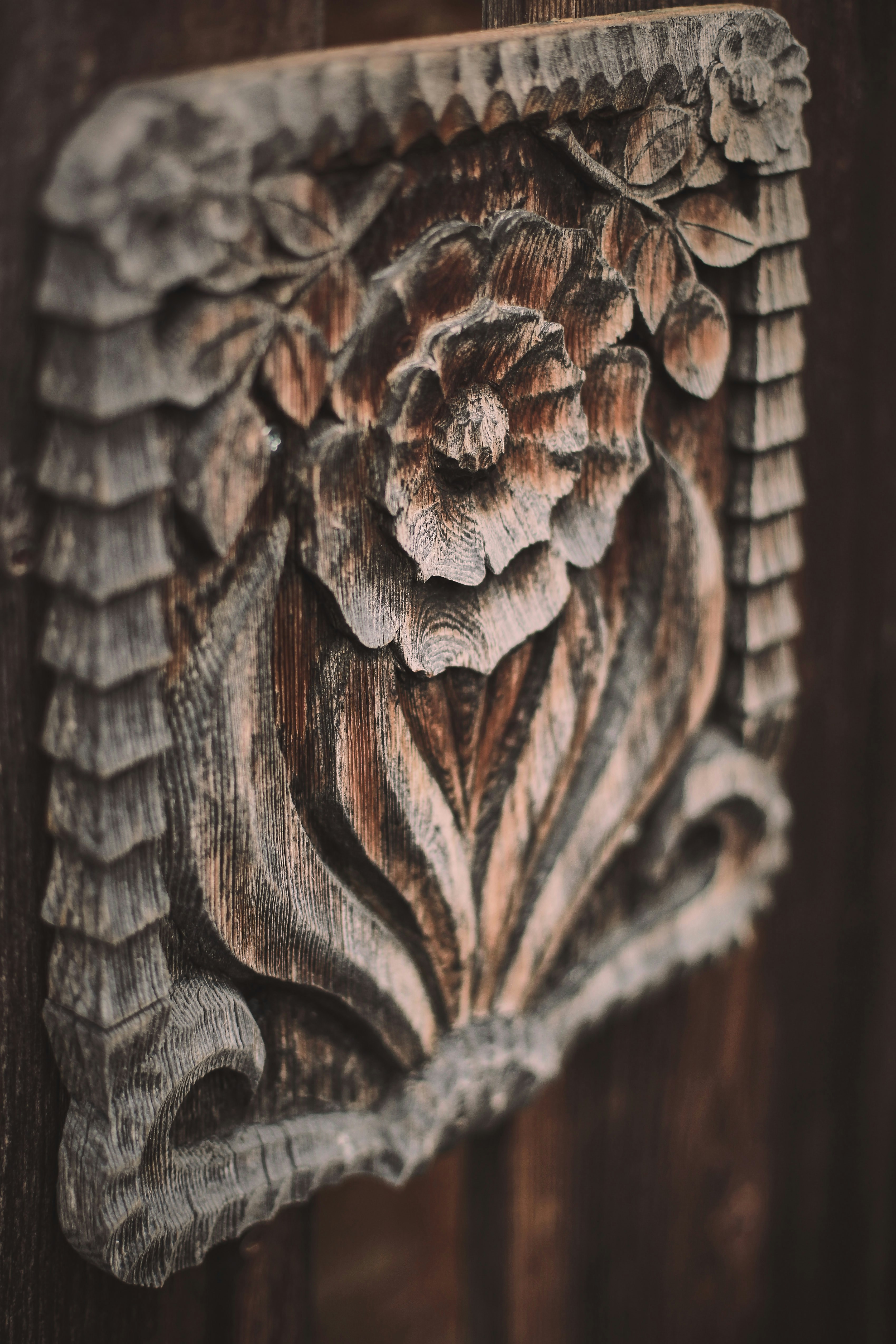 Frost-Kissed Flower: A Carved Panel in Weathered Wood