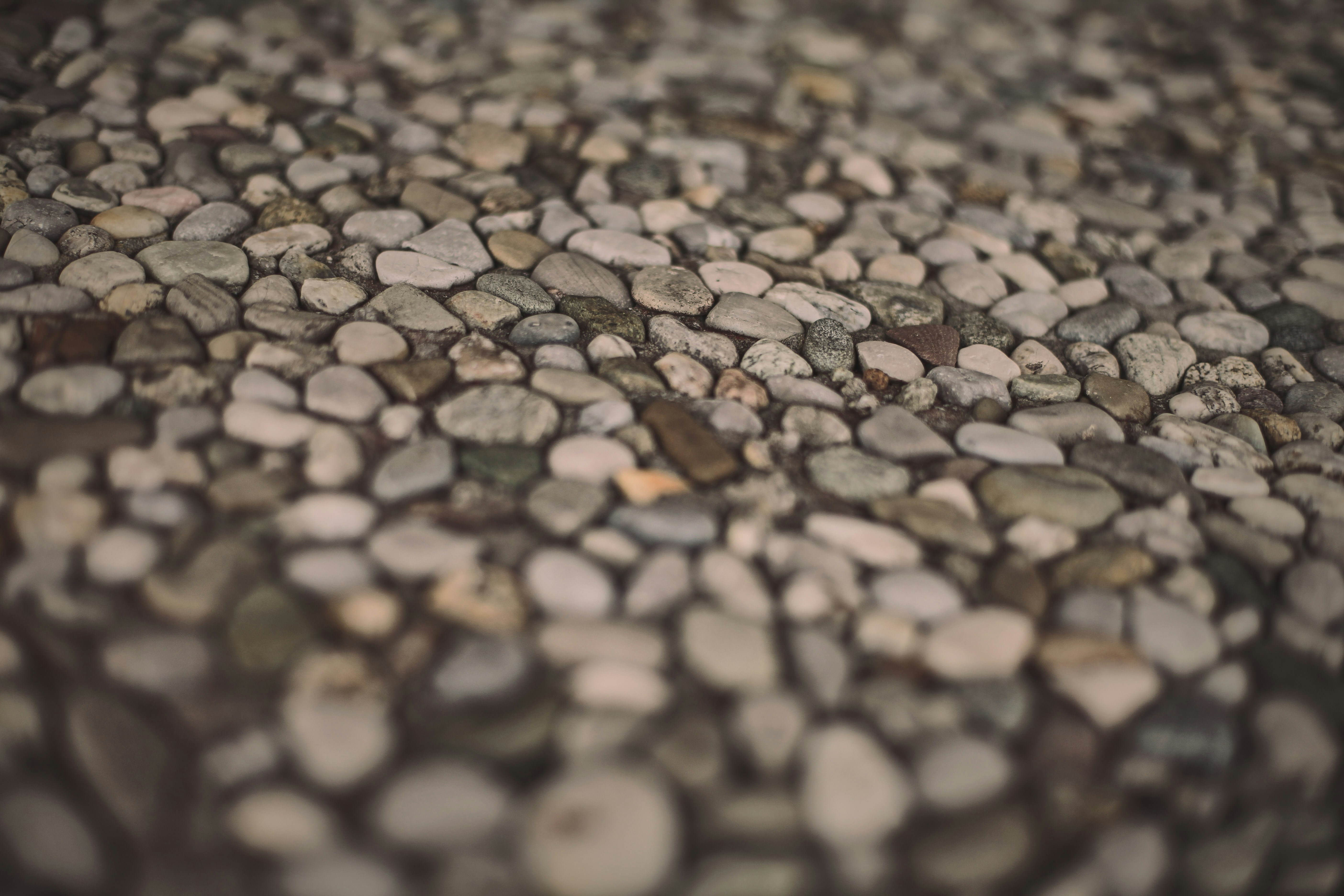 Pebble Mosaic: A Quiet Riverbed of Stones