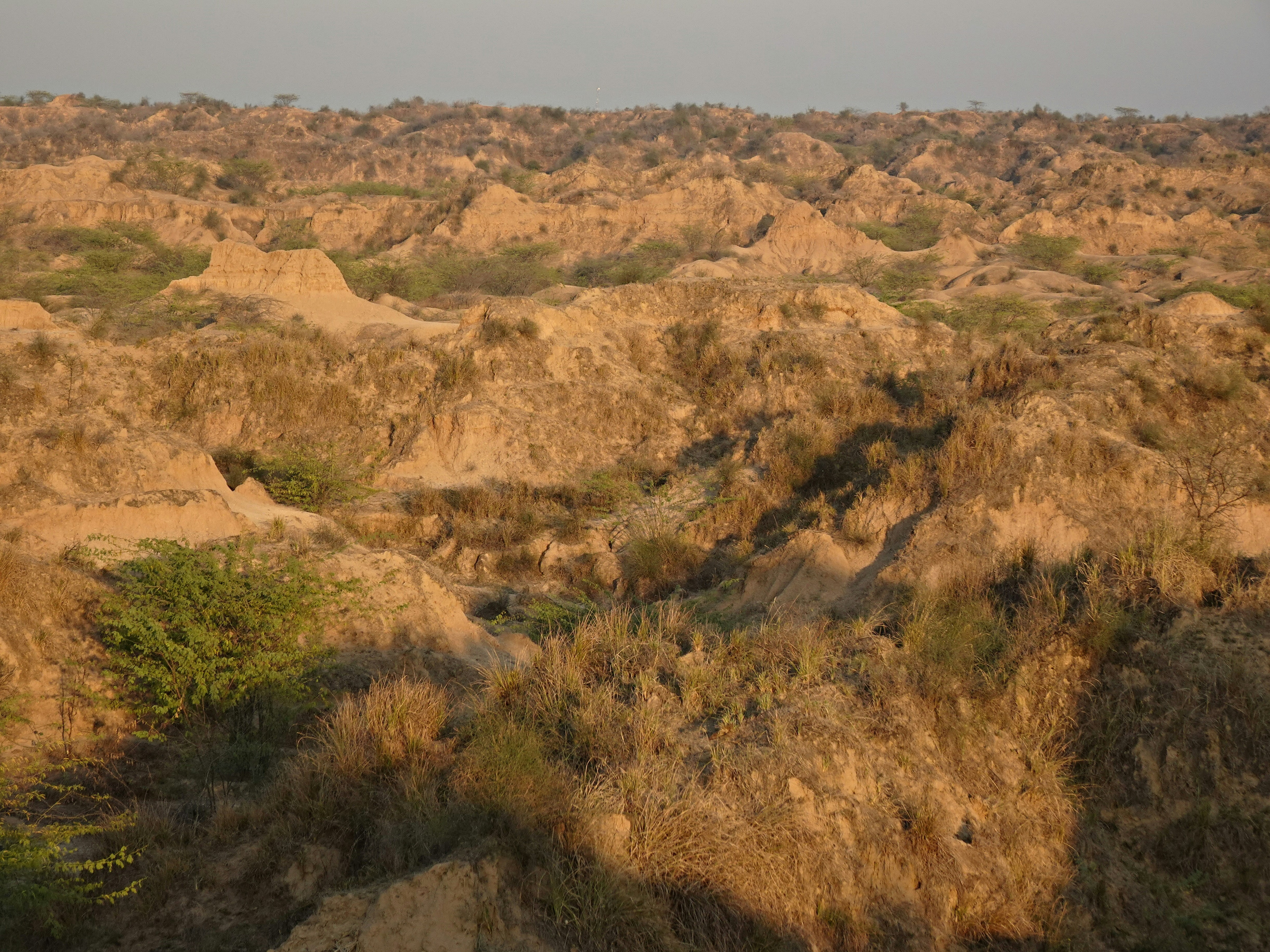 Sample photo from Sony Cyber-shot WX800